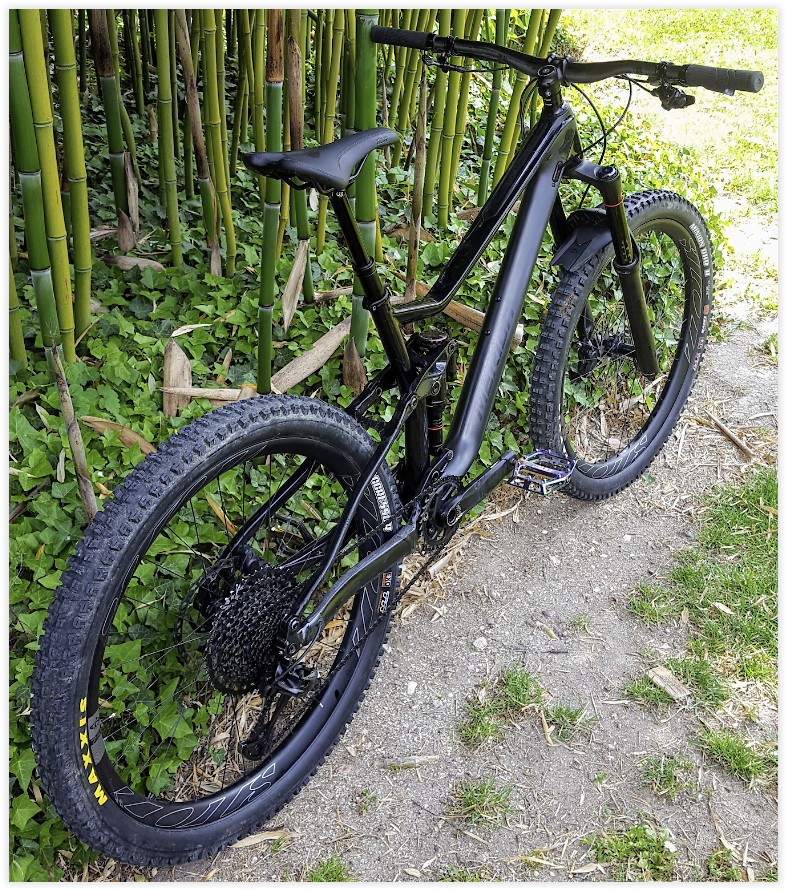 Merida One-Sixty 6000 - FJFJ's Bike Check - Vital MTB