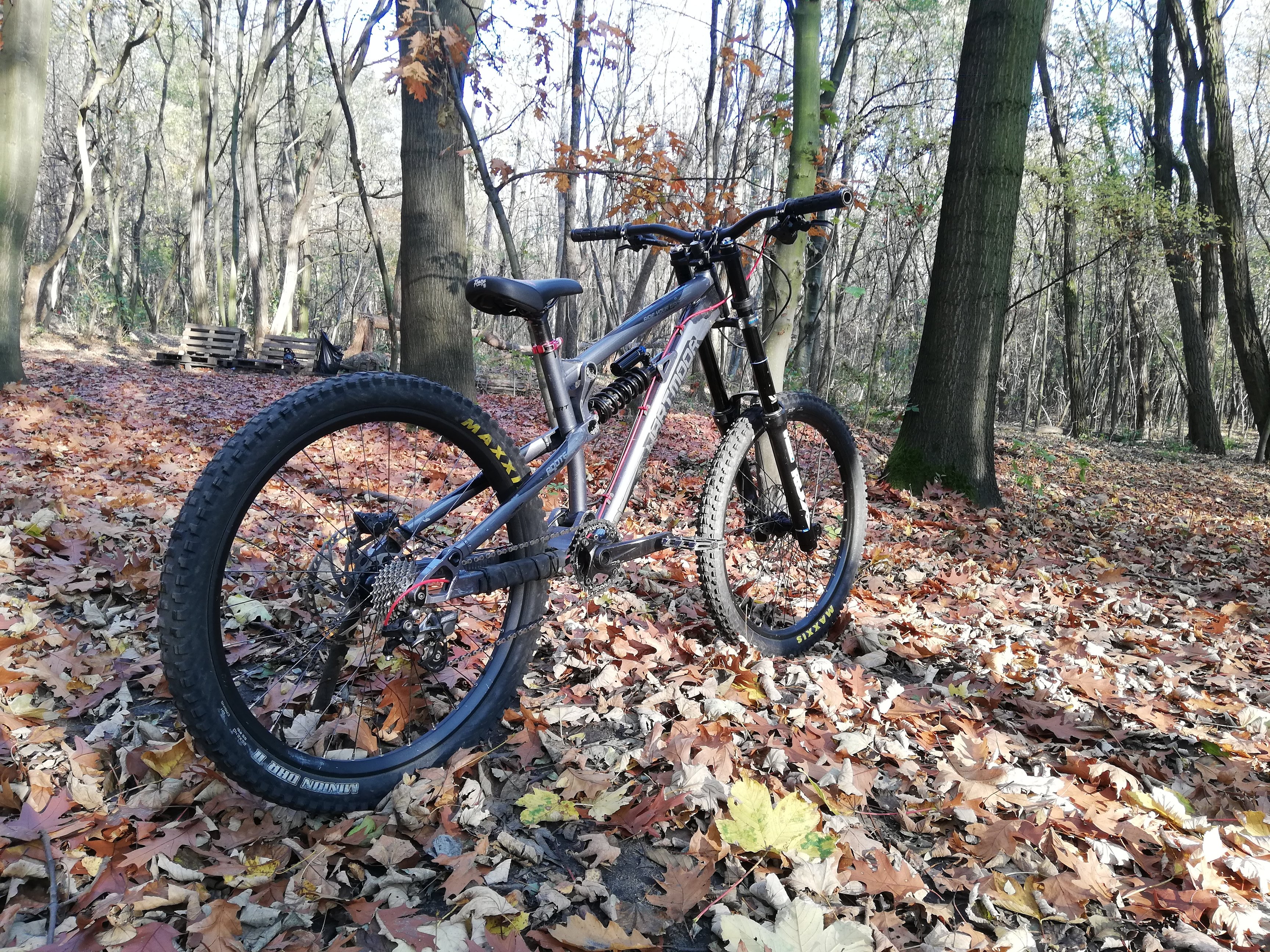 Dartmoor Roots 2015 Custom - Haitz's Bike Check - Vital MTB