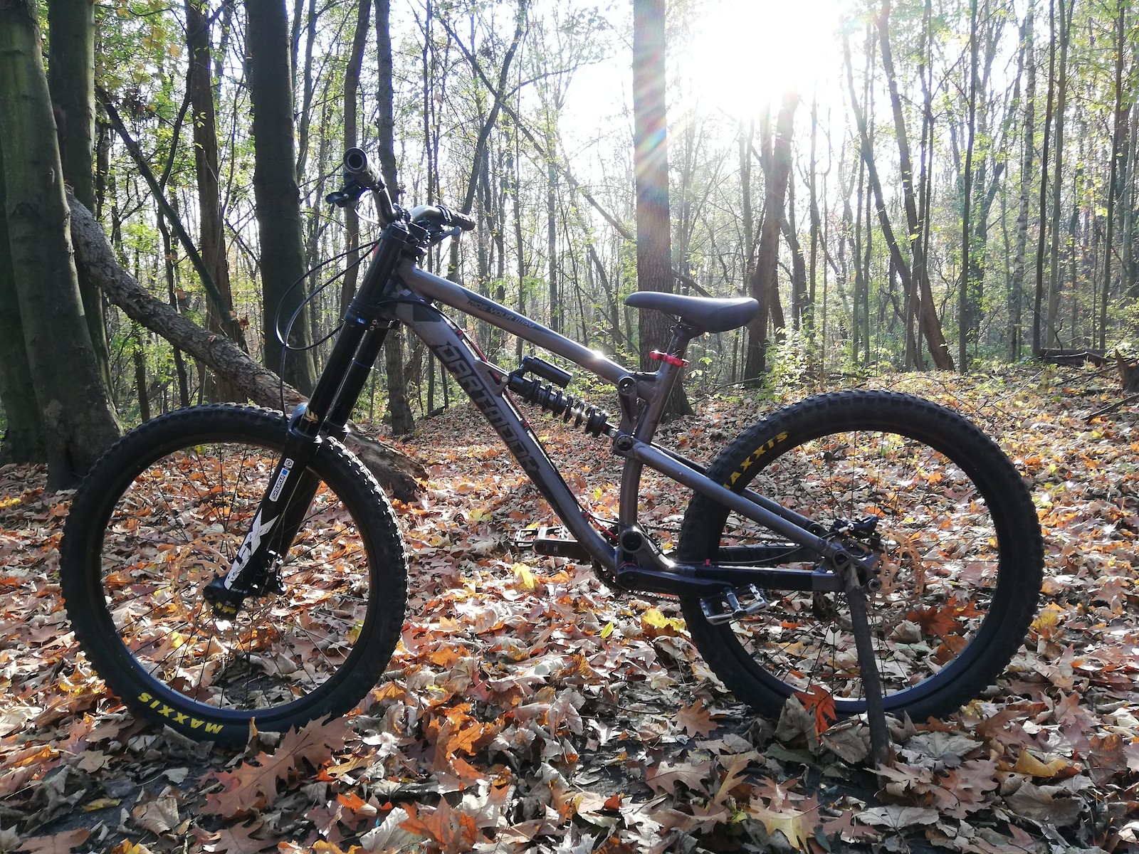 Dartmoor Roots 2015 Custom - Haitz's Bike Check - Vital MTB