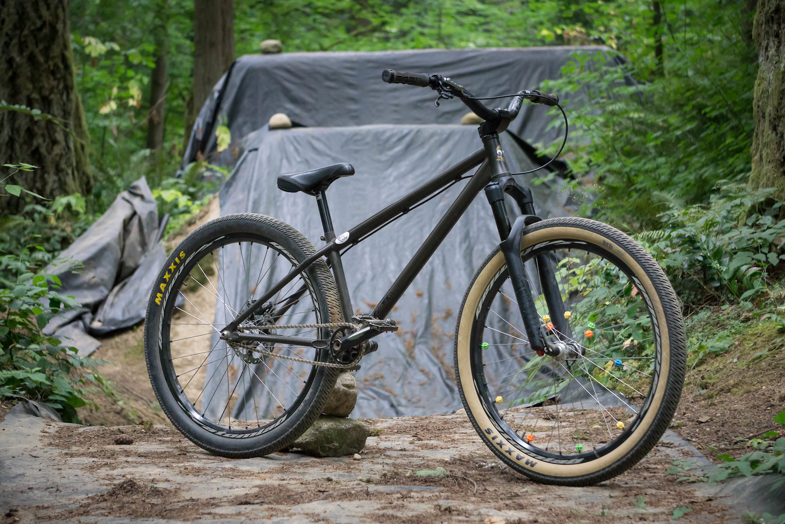 EVIL Faction 2 Jungle Boogie - dillybibbs's Bike Check - Vital MTB