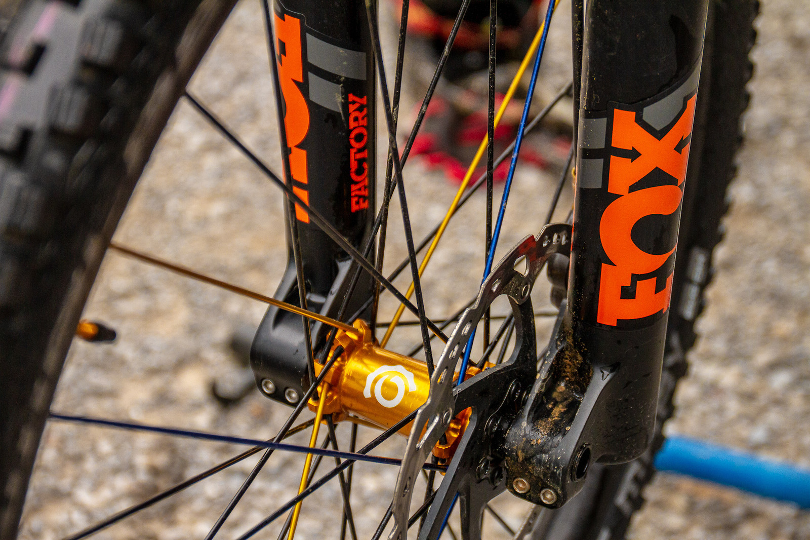Conte's Industry Nine Wheels - JackRice - Mountain Biking Pictures ...
