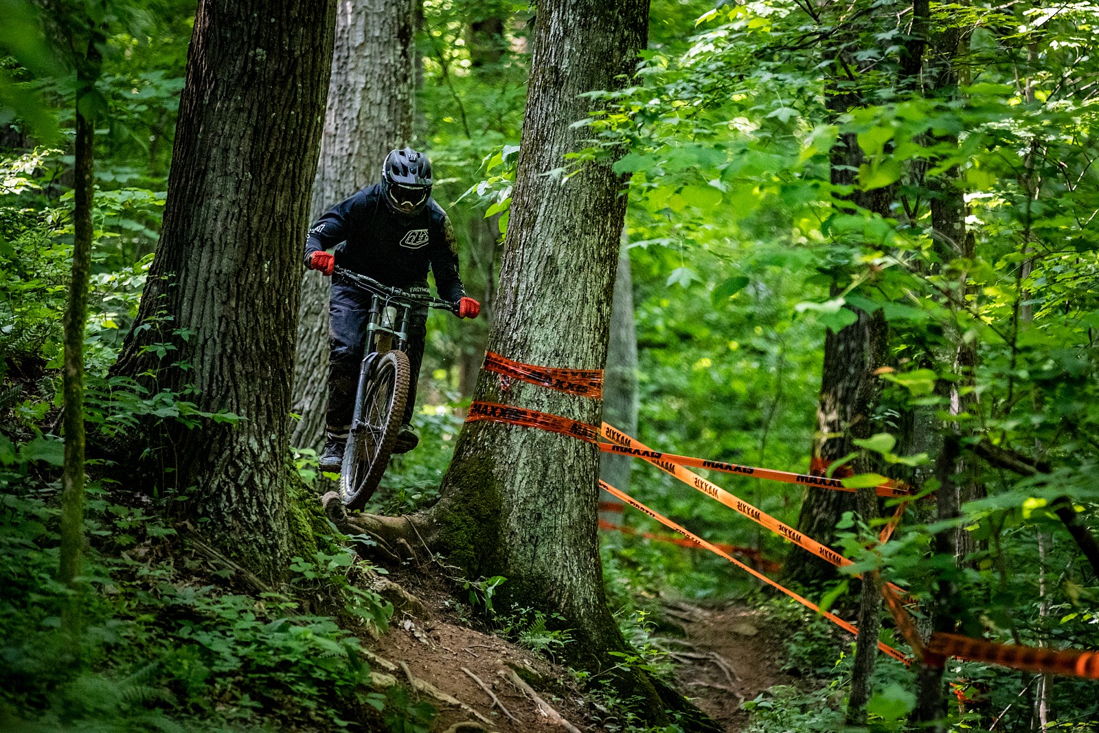 Tight squeeze - JackRice - Mountain Biking Pictures - Vital MTB