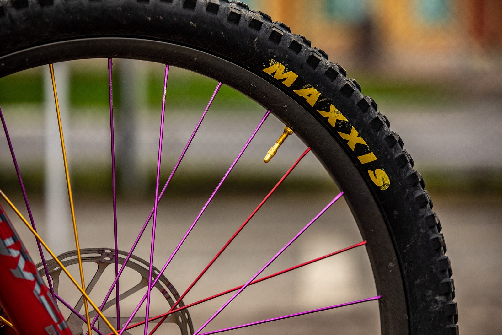 Sam RIx's Specialized Demo - JackRice - Mountain Biking Pictures ...