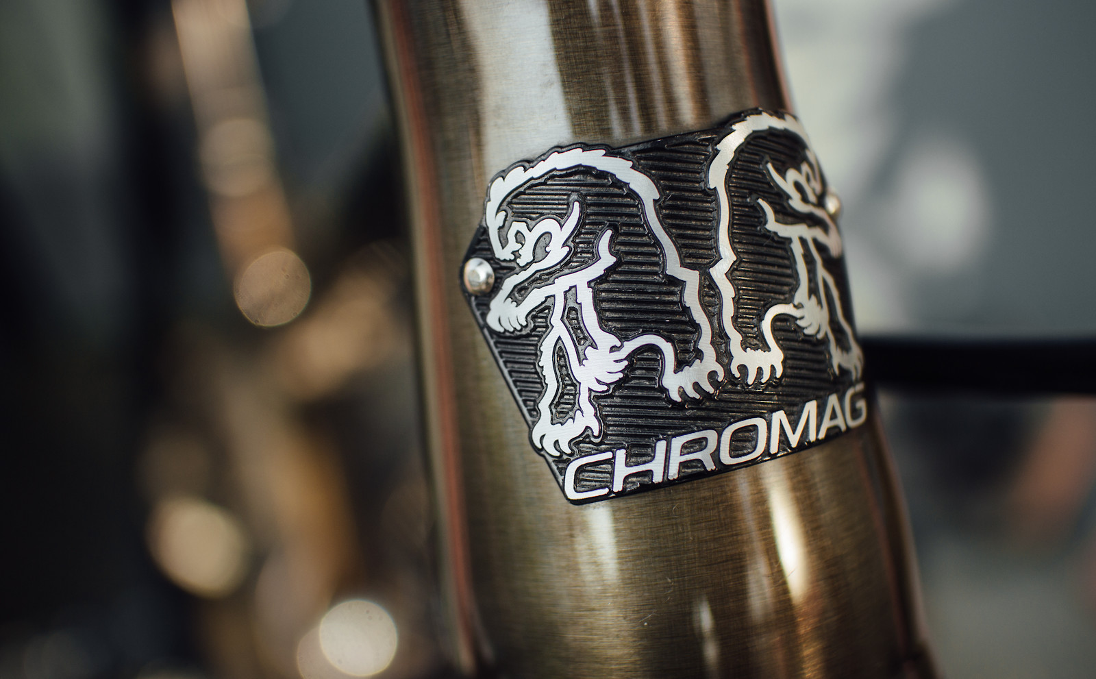 Chromag Primer - dmc's Bike Check - Vital MTB