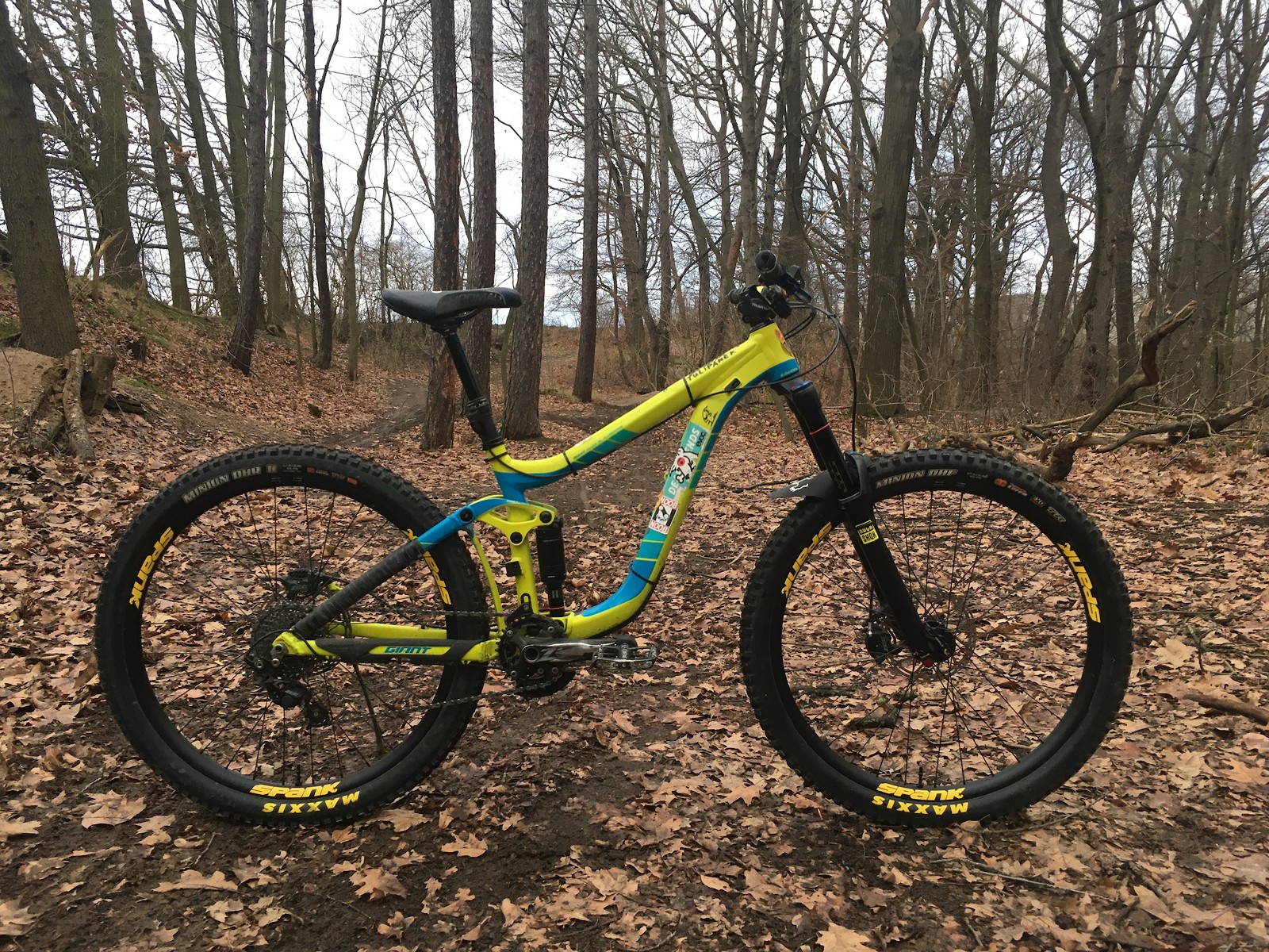 Casual Giant Reign - Tulipanek's Bike Check - Vital MTB