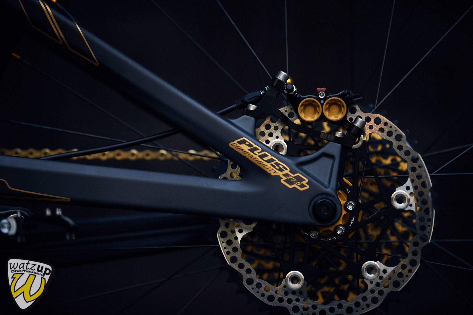 Pivot Switchblade Custom - TheFirebird's Bike Check - Vital MTB