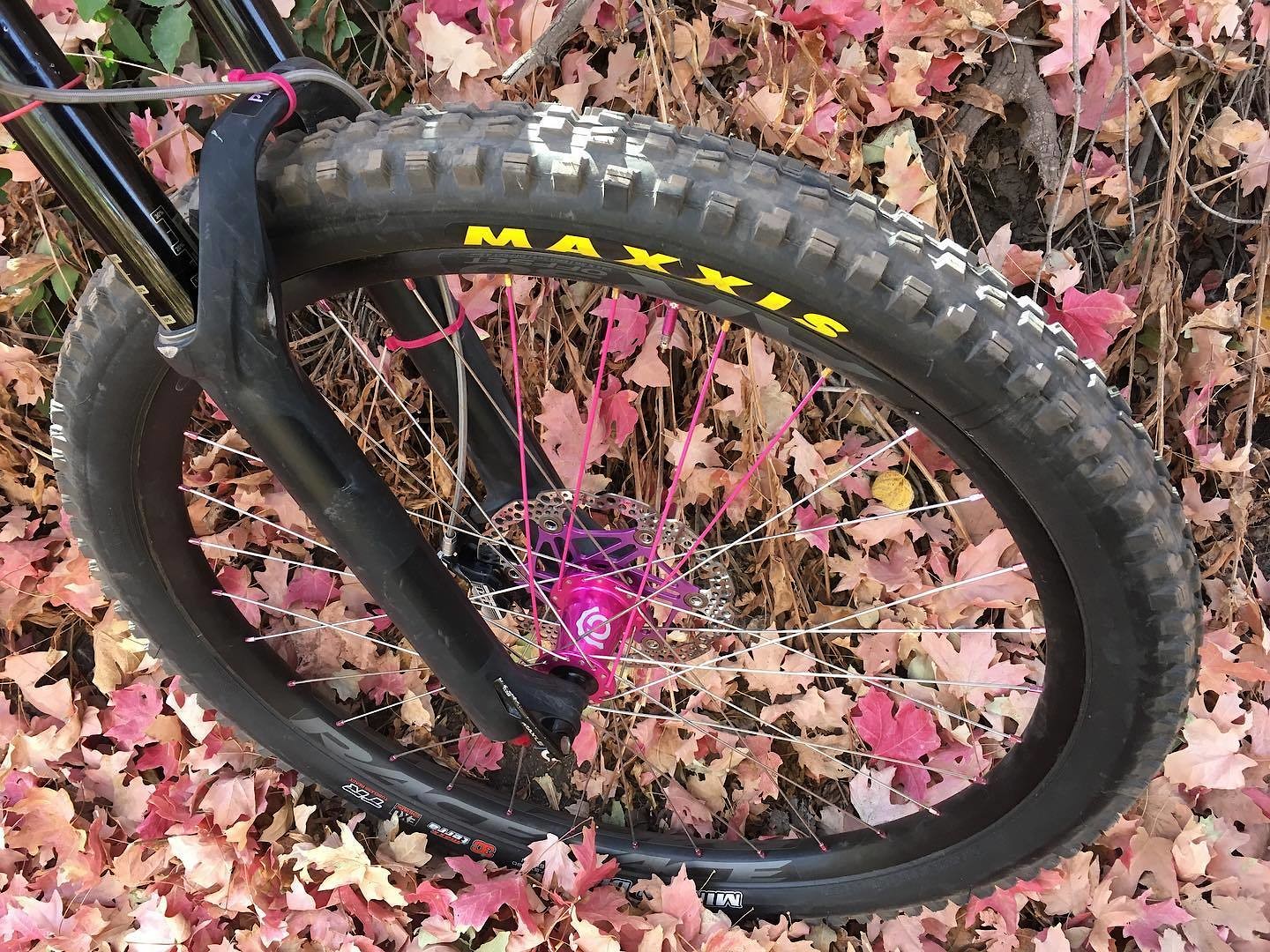 Lortab Range - sauvignonomatic's Bike Check - Vital MTB