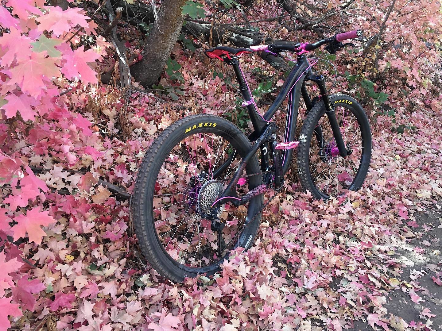 Lortab Range - sauvignonomatic's Bike Check - Vital MTB