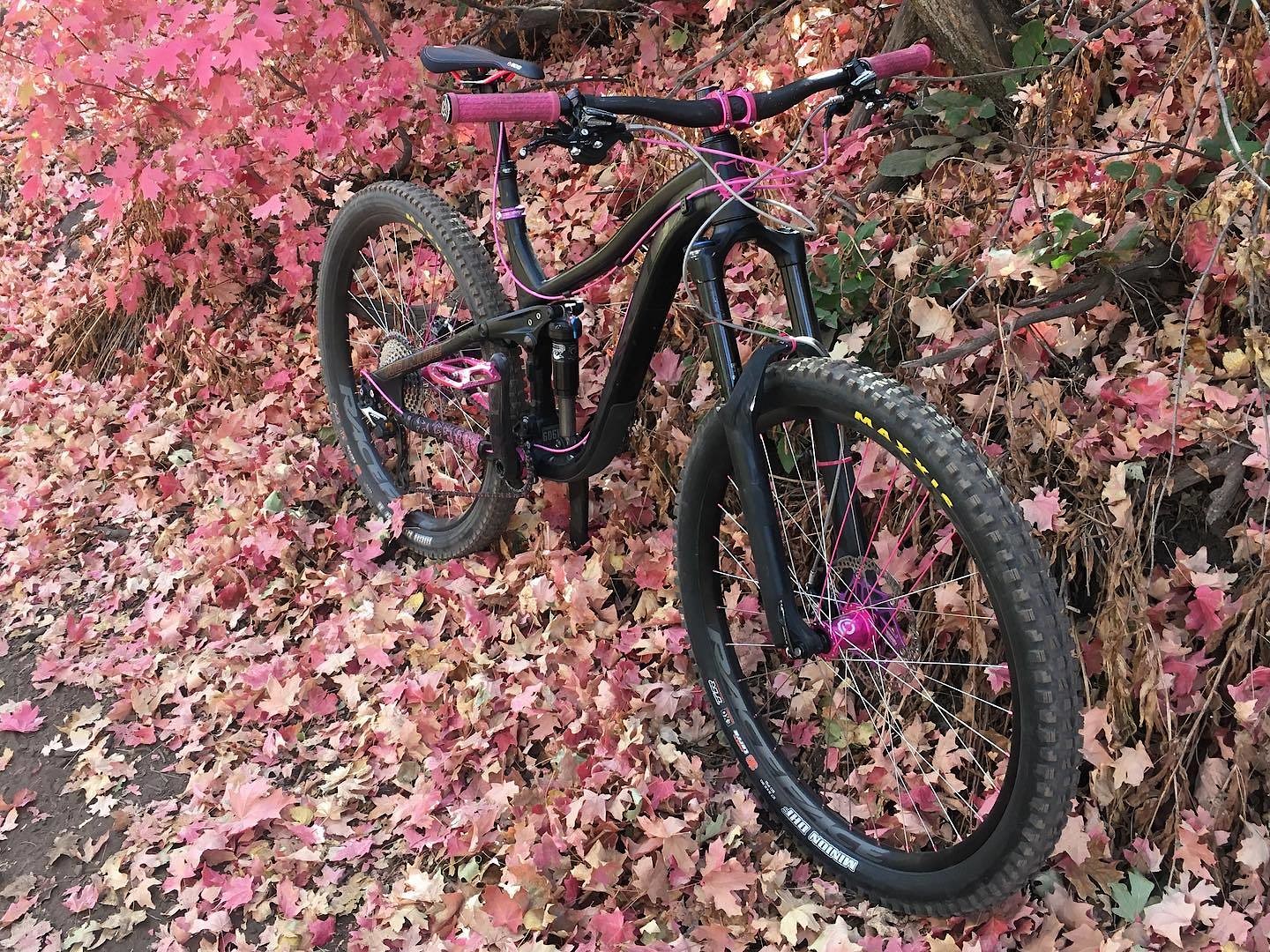 Lortab Range - sauvignonomatic's Bike Check - Vital MTB