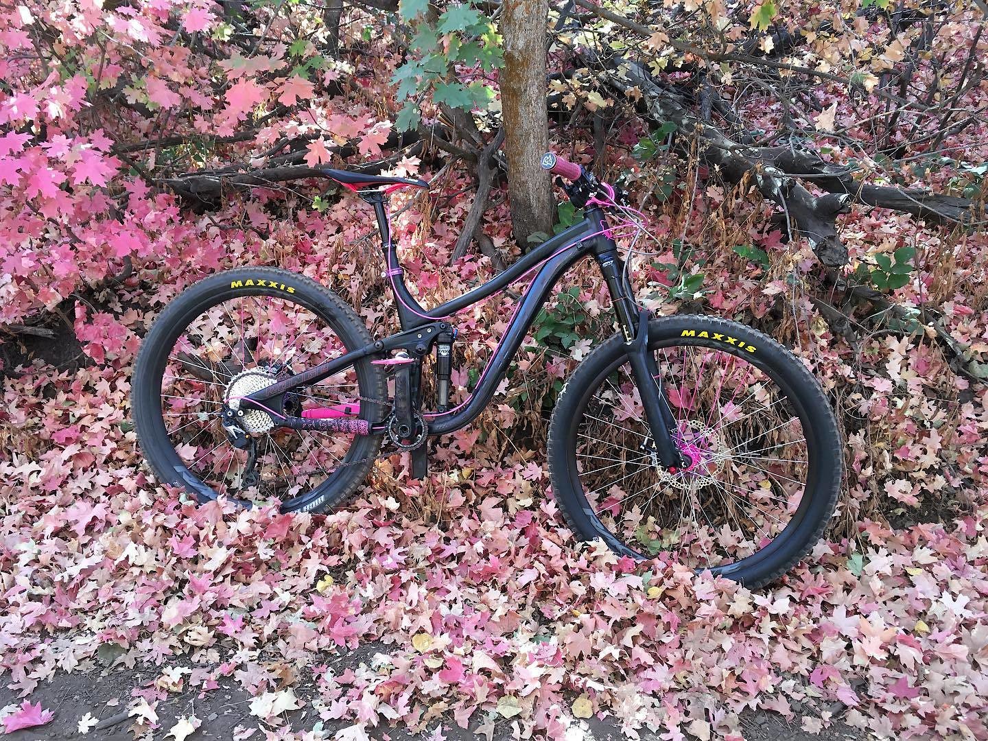 Lortab Range - sauvignonomatic's Bike Check - Vital MTB