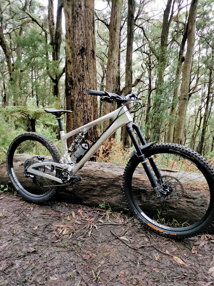 Pole Stamina 180 - jakelecluse's Bike Check - Vital MTB