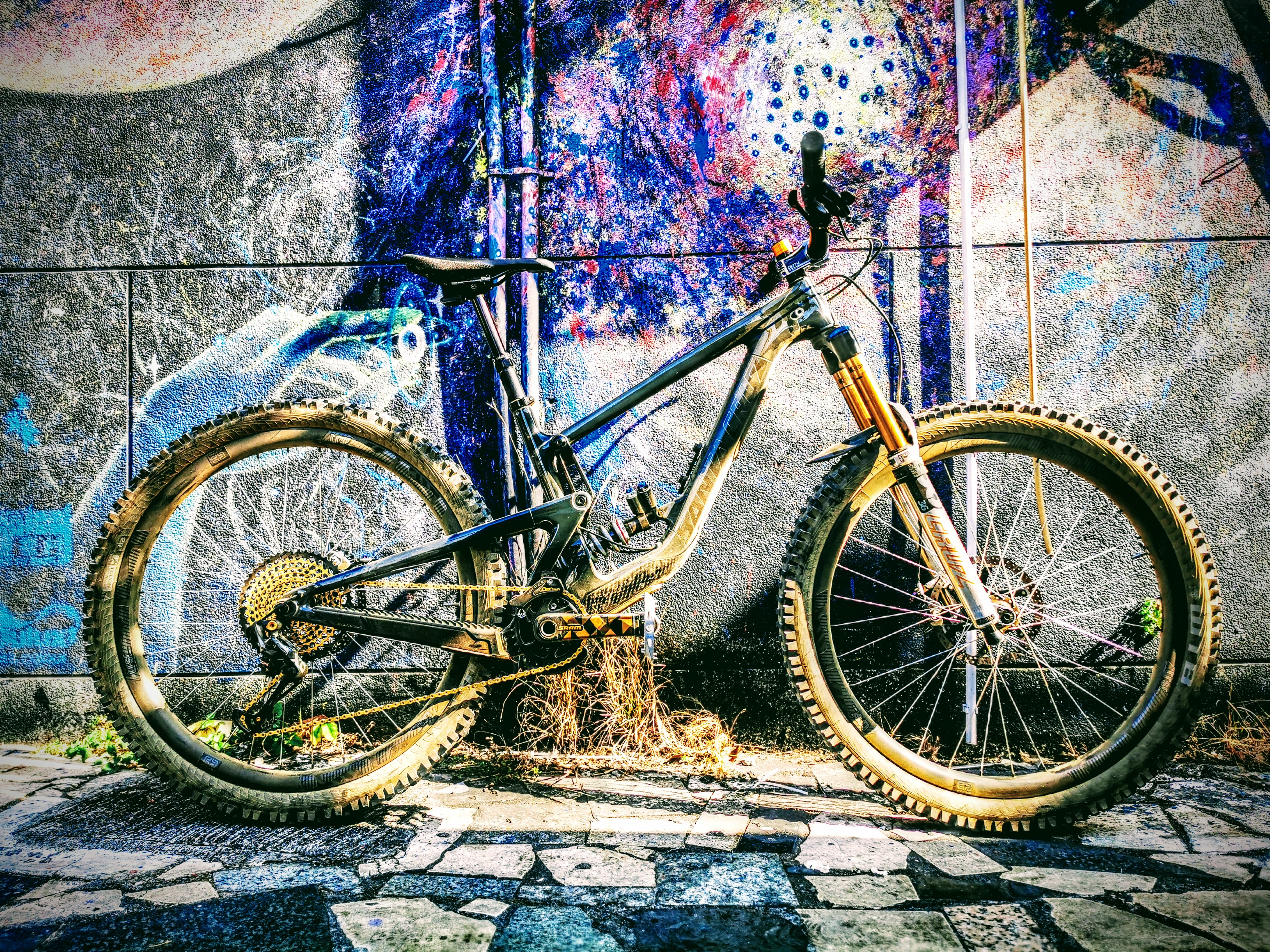 Megatron - Geraraddrizang's Bike Check - Vital MTB