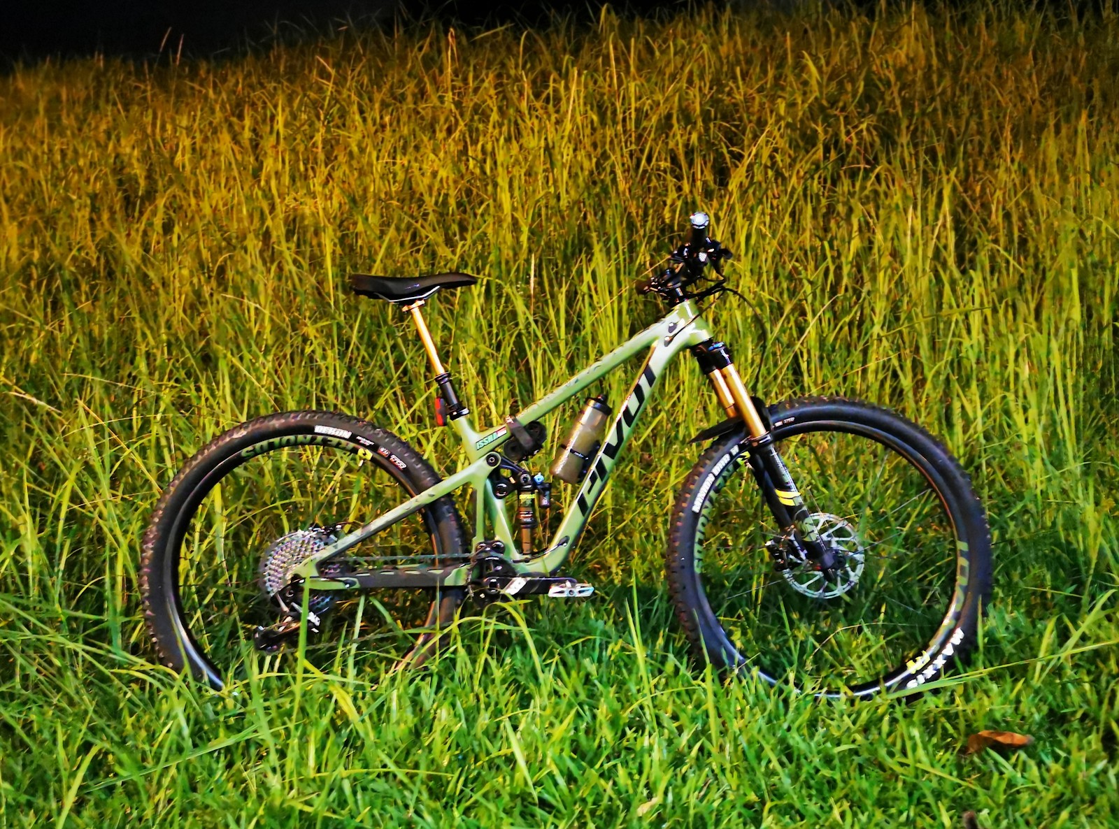 2020 Pivot Switchblade - Treeline Green - Issha's Bike Check - Vital MTB