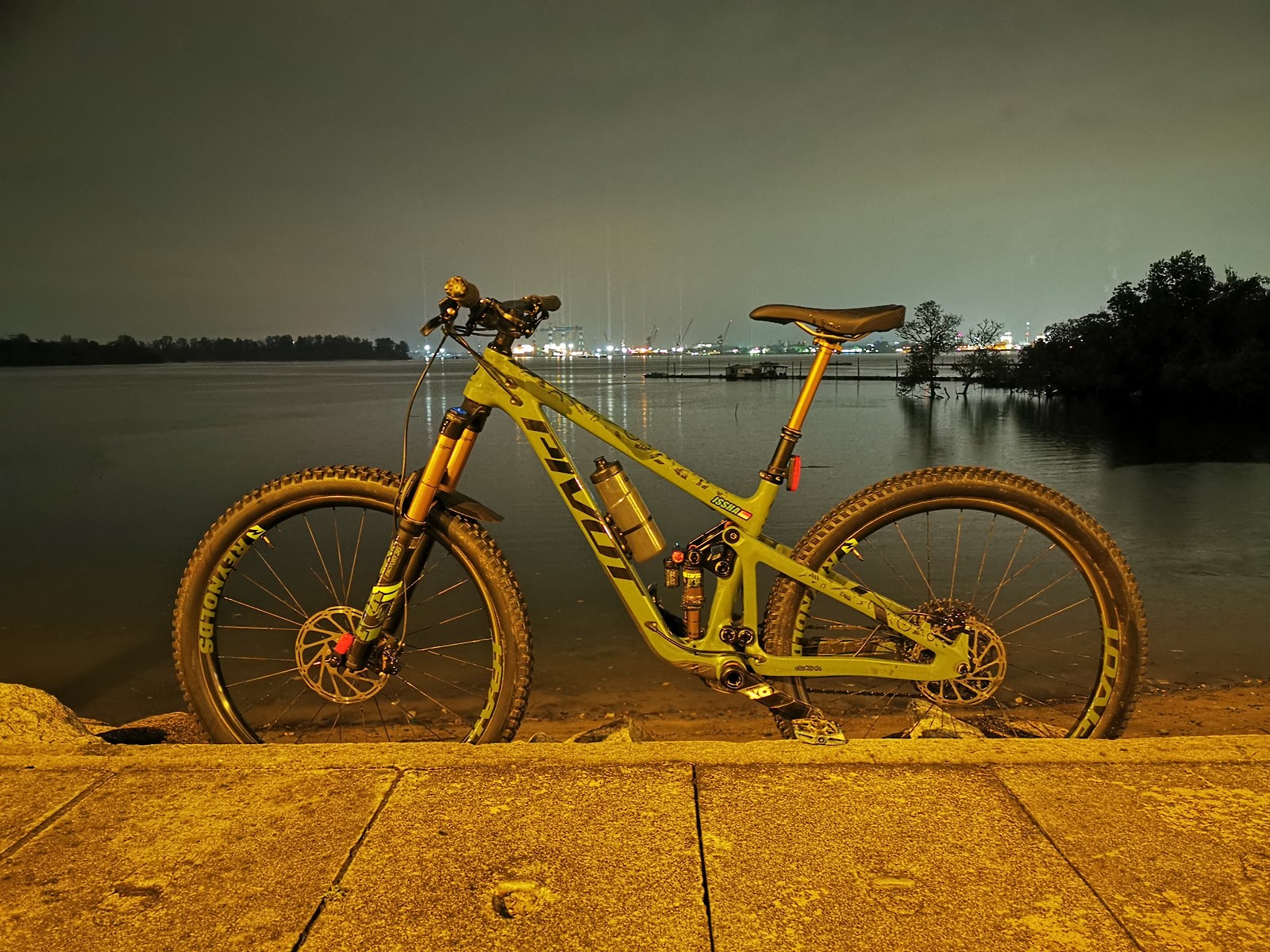 2020 Pivot Switchblade - Treeline Green - Issha's Bike Check - Vital MTB