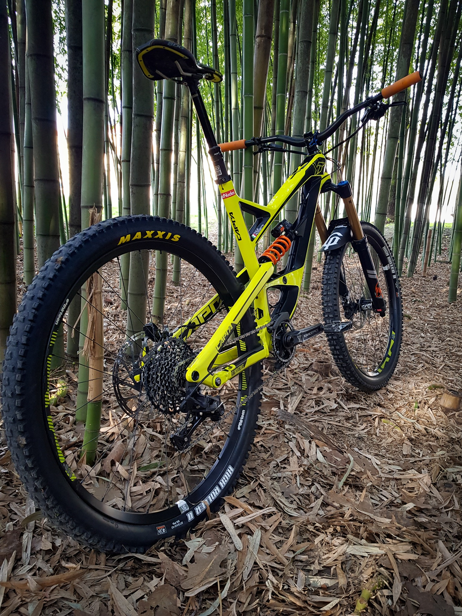 YT Capra CF Custom - Philip_Rossetti's Bike Check - Vital MTB