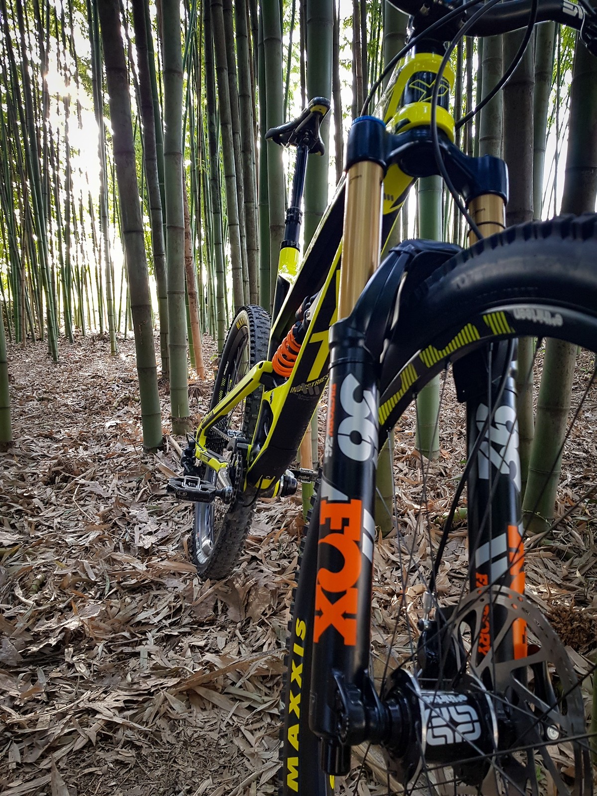 YT Capra CF Custom - Philip_Rossetti's Bike Check - Vital MTB