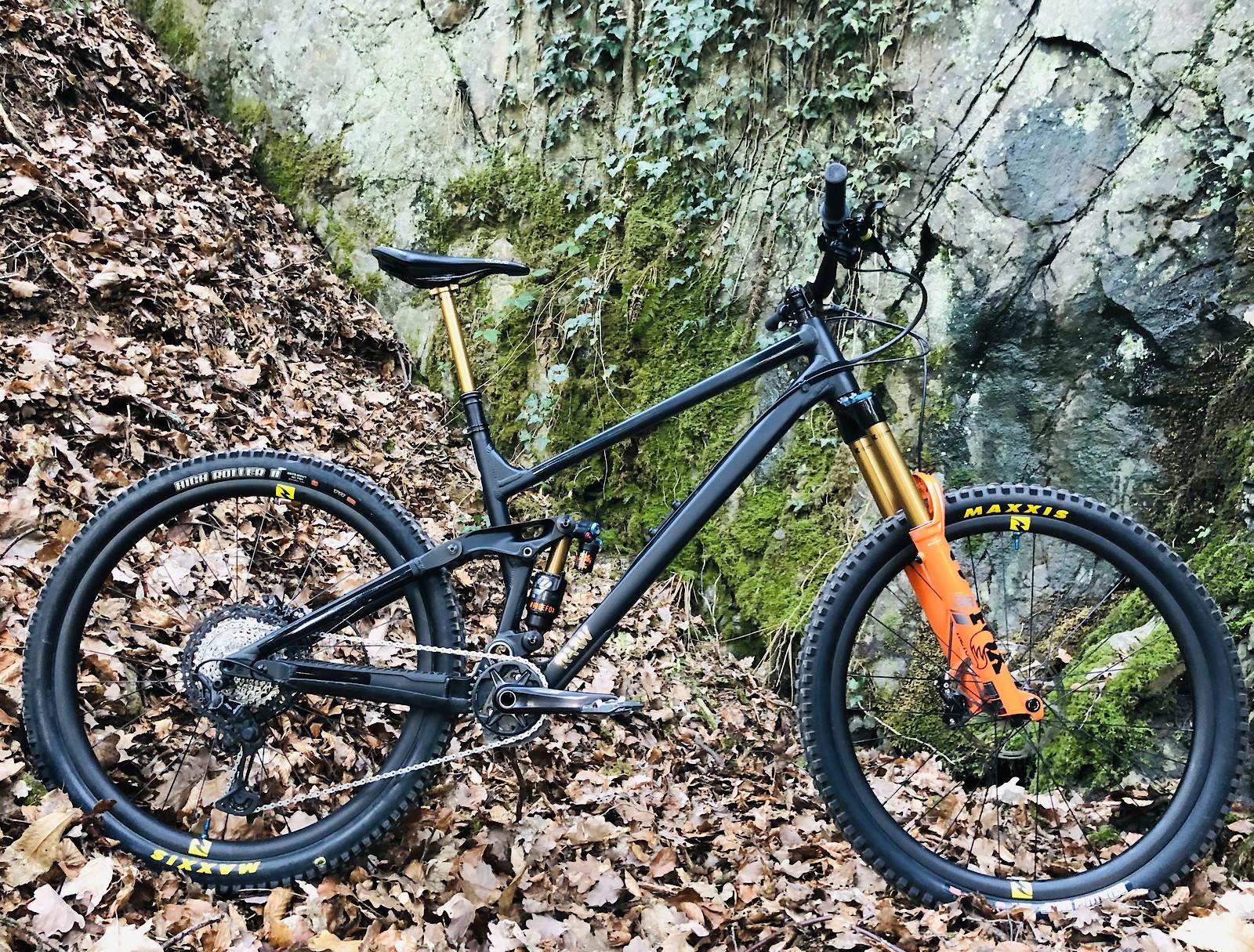 RAAW Madonna V2 custom - Philip_Rossetti's Bike Check - Vital MTB