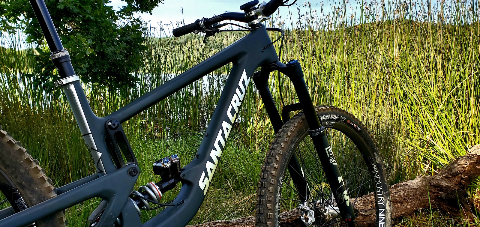 Custom 2019 Santa Cruz Megatower - The Duck's Bike Check - Vital MTB