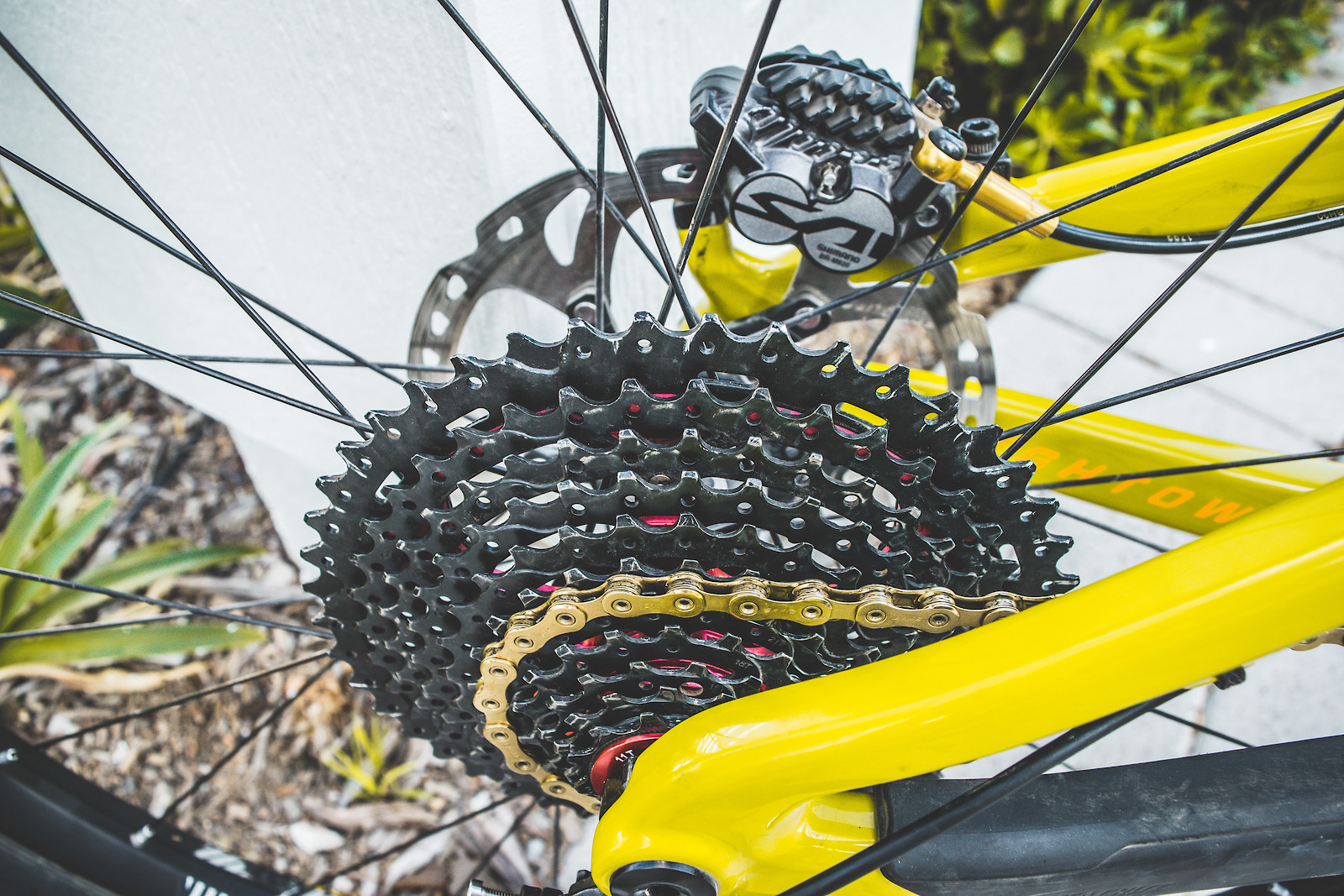 Green Bean - lzrmoos's Bike Check - Vital MTB