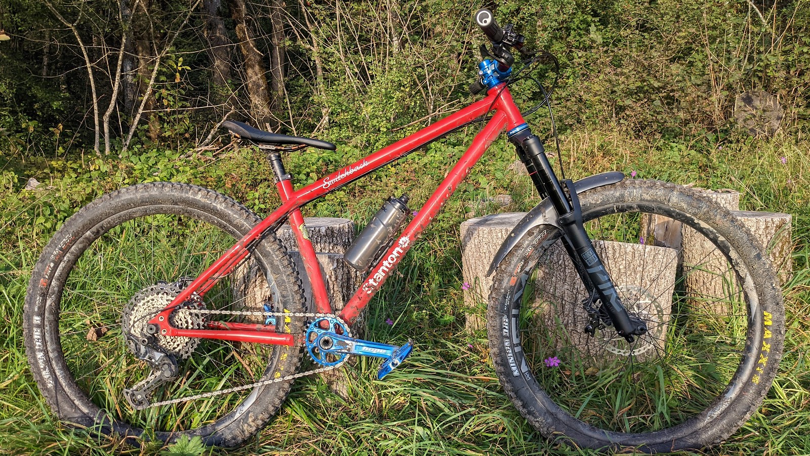 Stanton Switchback - bernbacher's Bike Check - Vital MTB