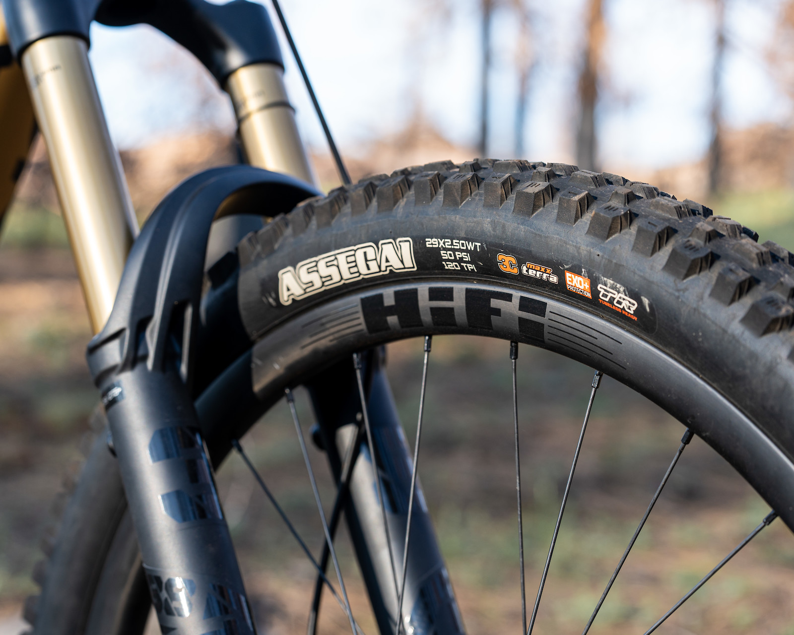 Nothing but Orbea Gold Rallon - fruitsnackzach's Bike Check - Vital MTB