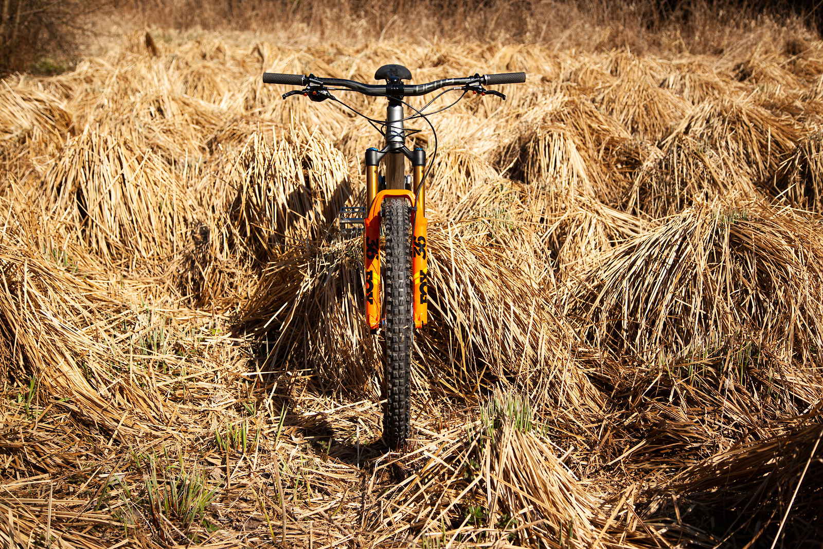 Commencal META TR 29 Custom Build 2020 - FDF Bike Shop's Bike Check ...