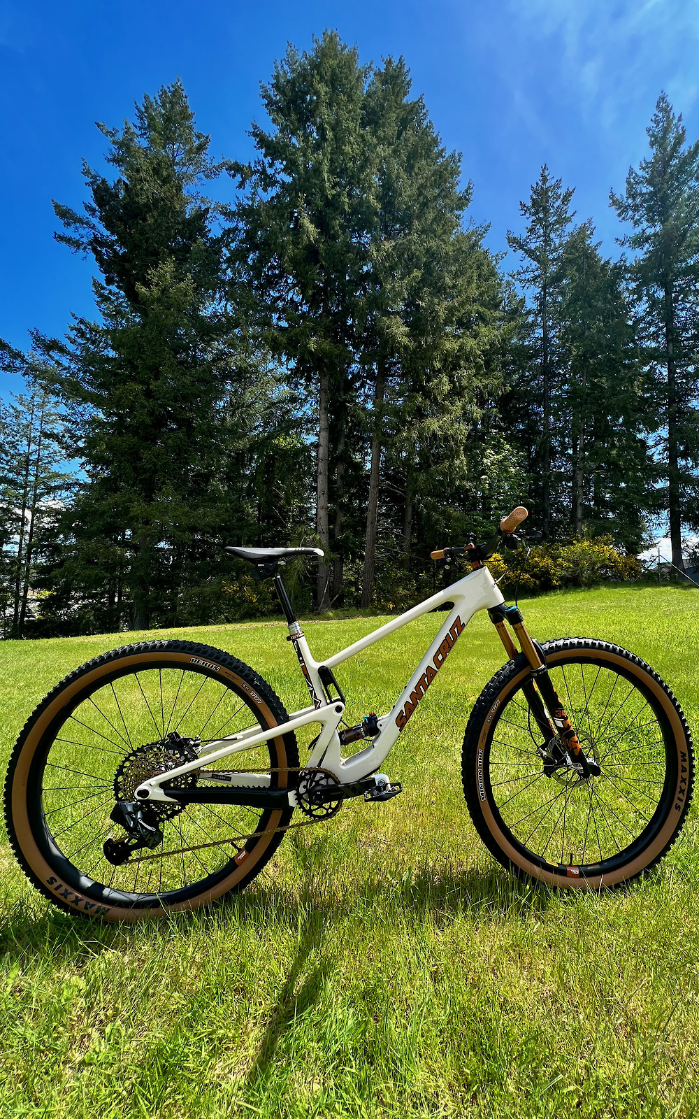 2021 Santa Cruz Tallboy CC (AKU-Acoma) - Sphy1977's Bike Check - Vital MTB