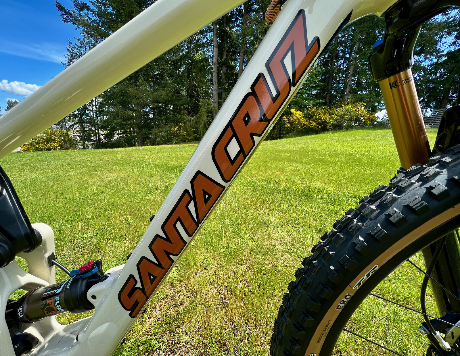 2021 Santa Cruz Tallboy CC (AKU-Acoma) - Sphy1977's Bike Check - Vital MTB