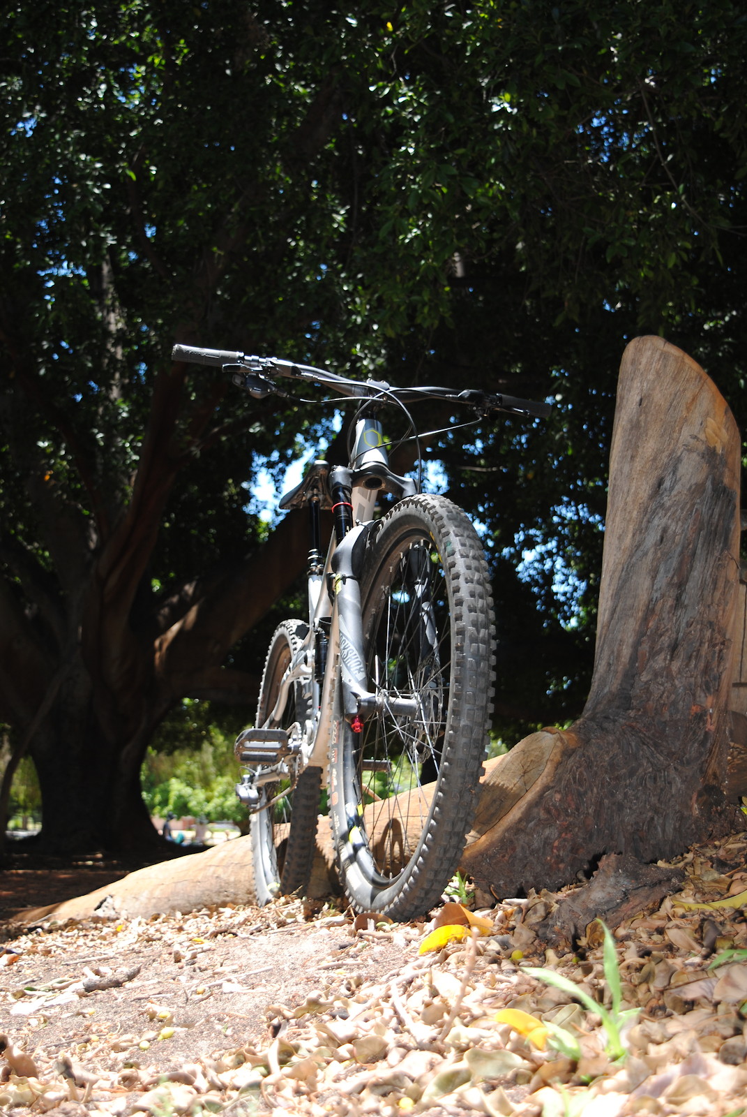 The Silver Bullet - OliverSwooj's Bike Check - Vital MTB