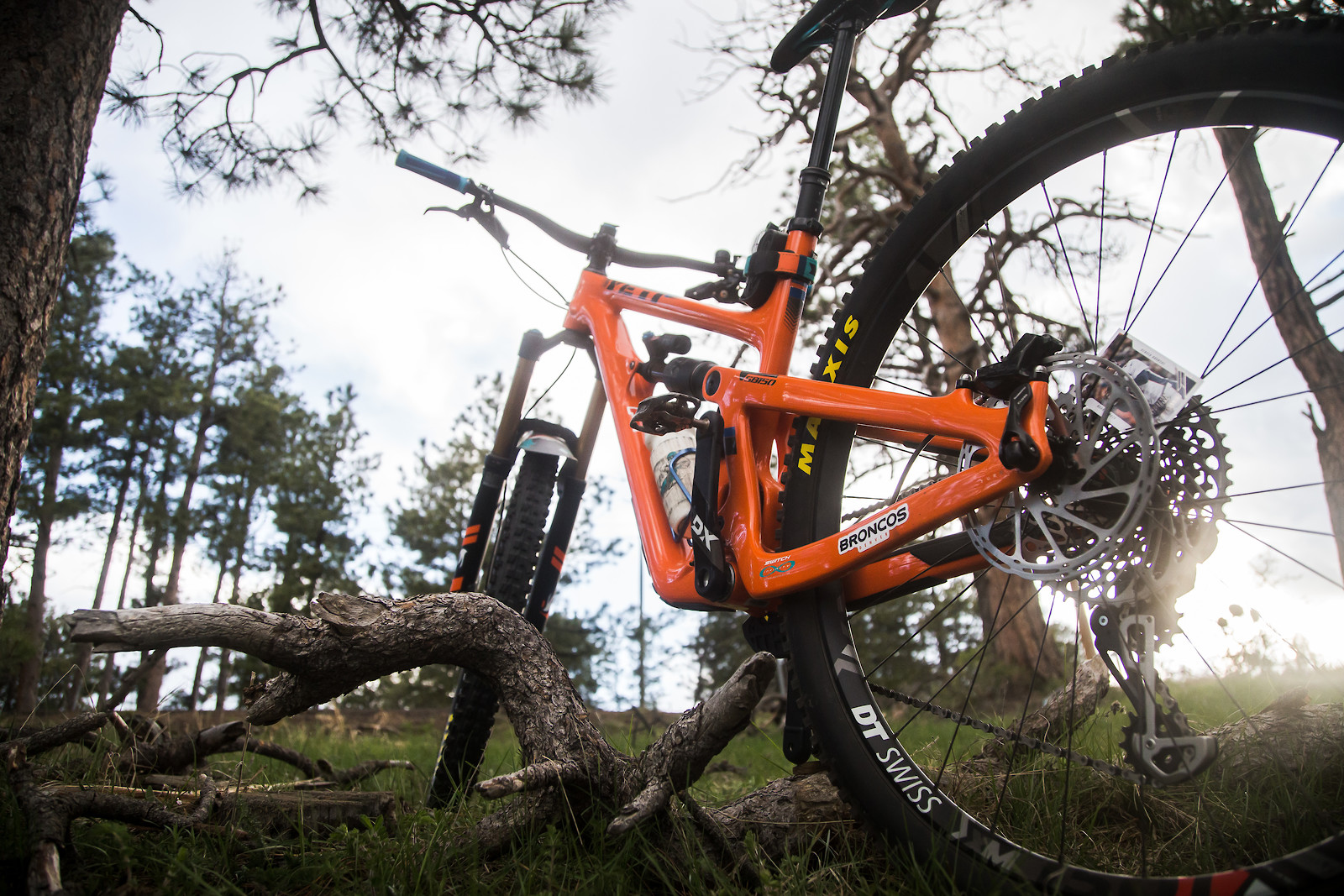 Thunder - clancyshredz's Bike Check - Vital MTB