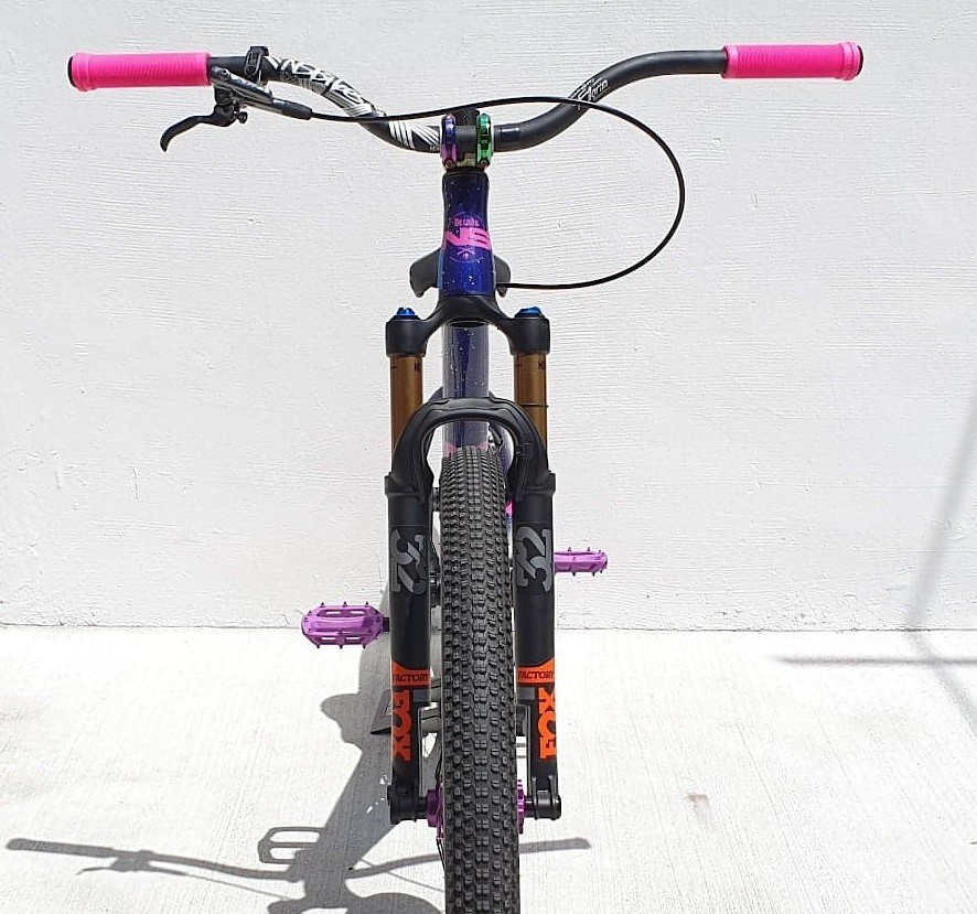 NS Decade in Night Sky Colorway - DrtJmpr_Hong's Bike Check - Vital MTB