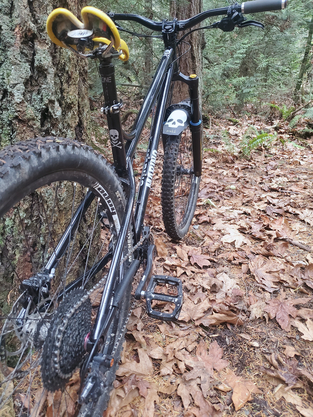 Marino Hardtail - Custom Geo - chainbreaker9000's Bike Check - Vital MTB