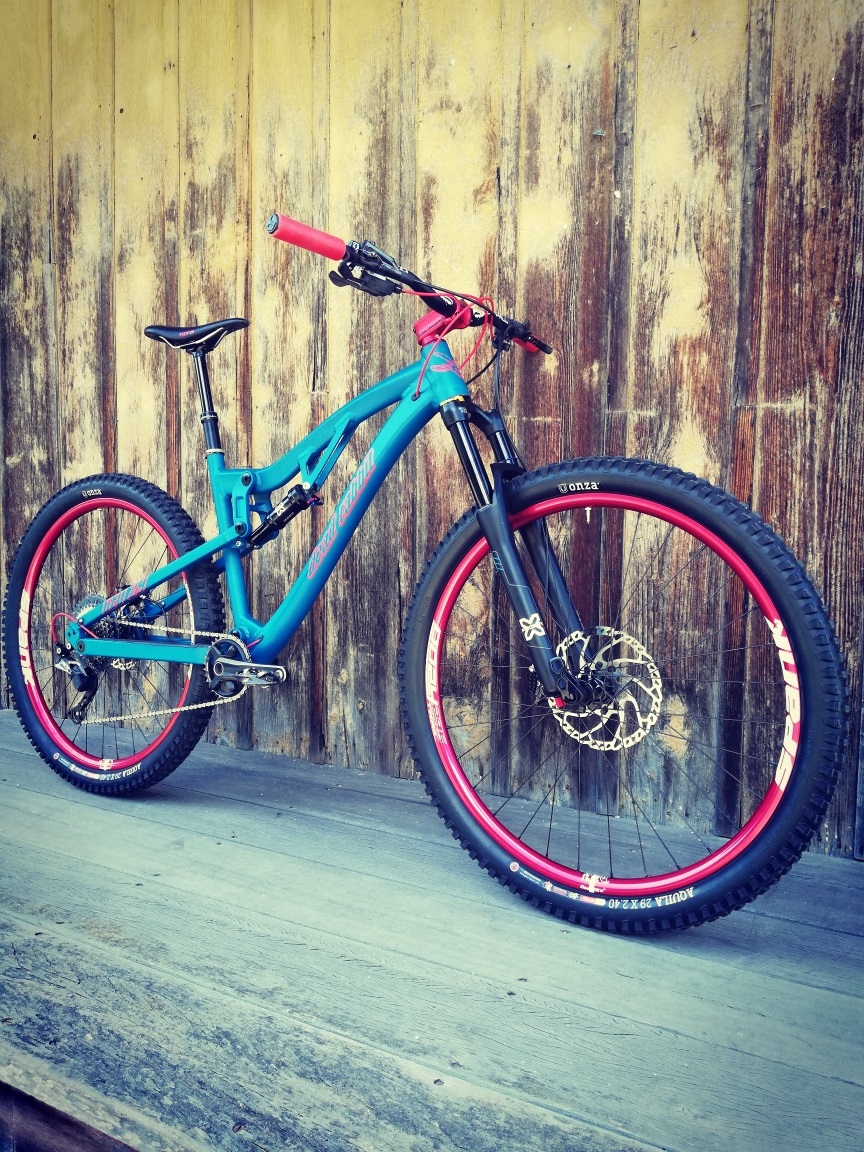 Björn_Aeschlimann's Setup - Björn_Aeschlimann's Bike Check - Vital MTB