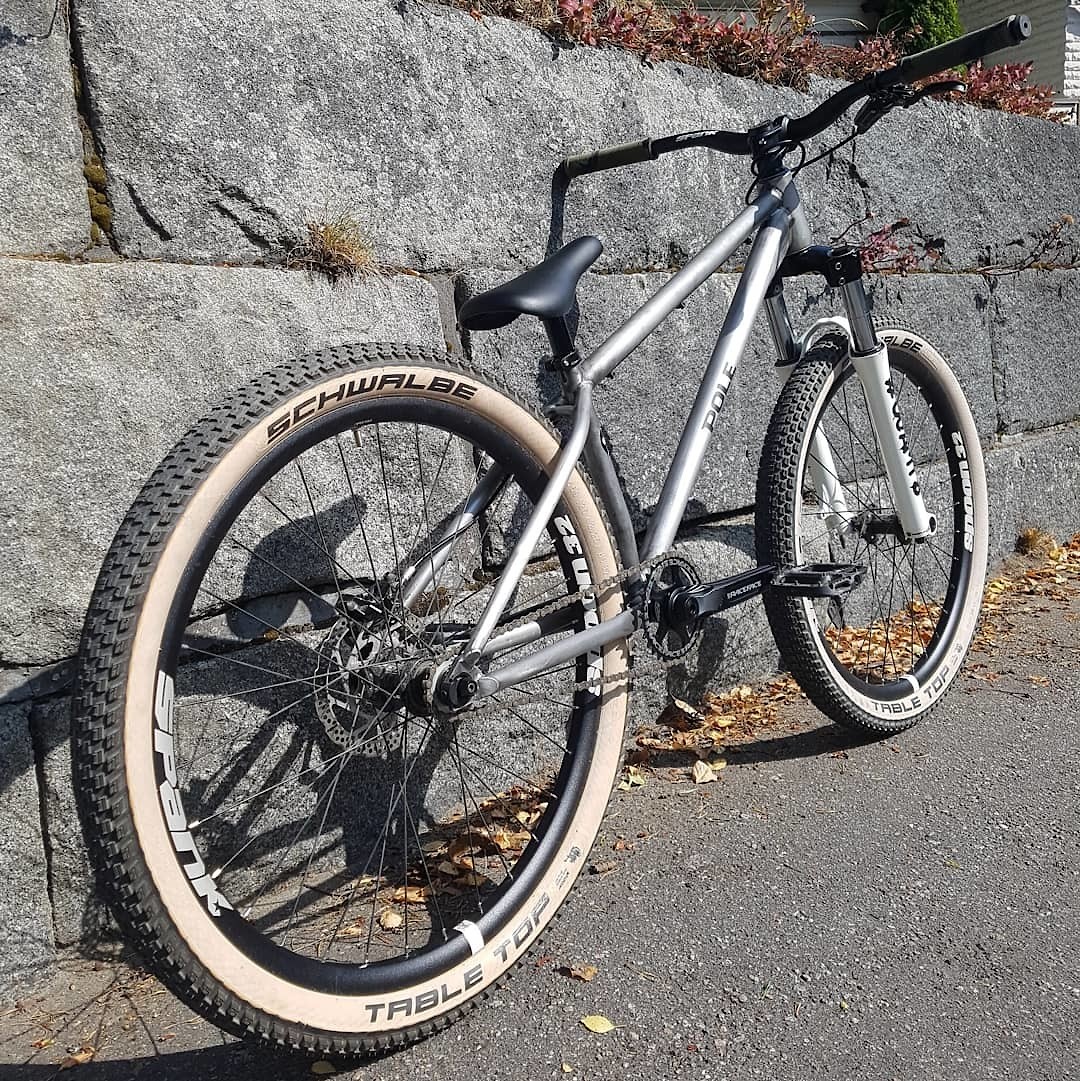 Pole Tomu RAW - Lanssi's Bike Check - Vital MTB