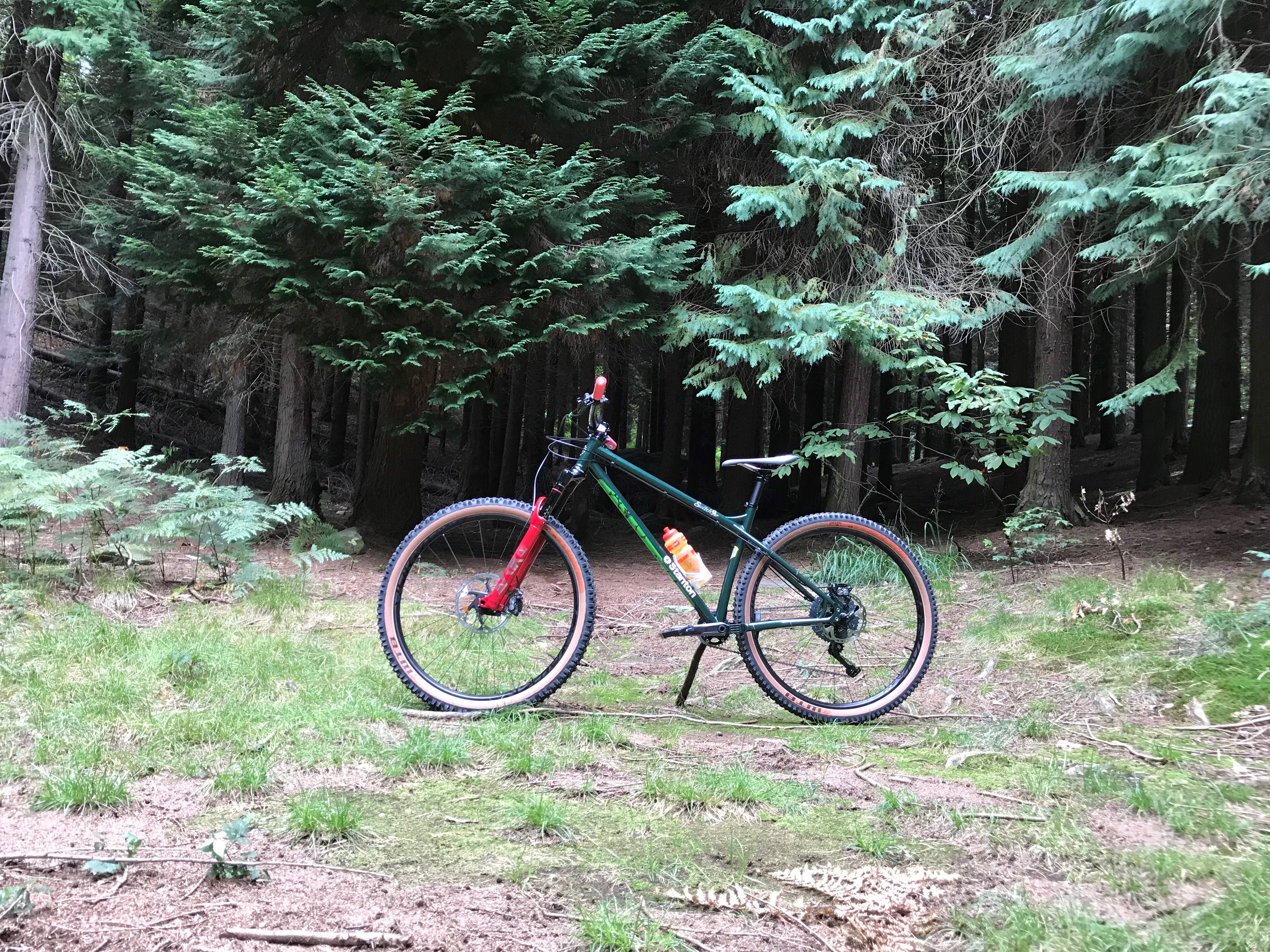 Stanton Switch9er - Alessandro_Bina's Bike Check - Vital MTB