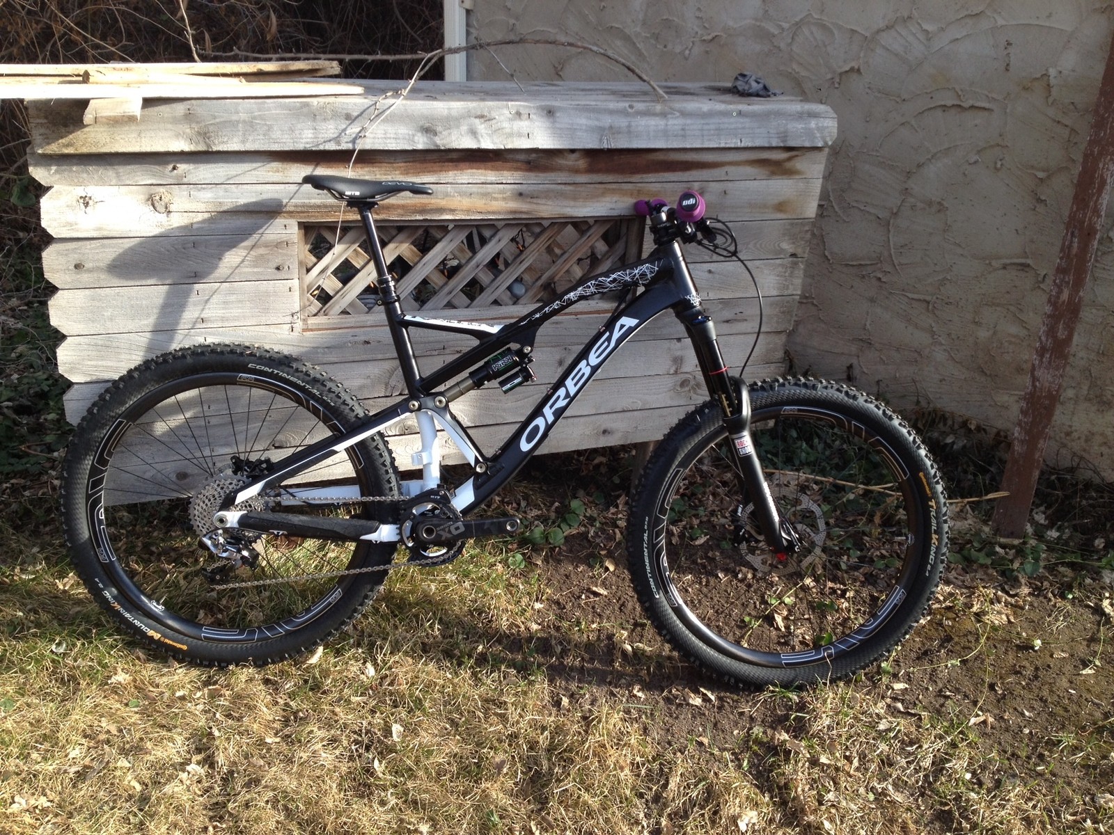 Orbea rallon r4 store