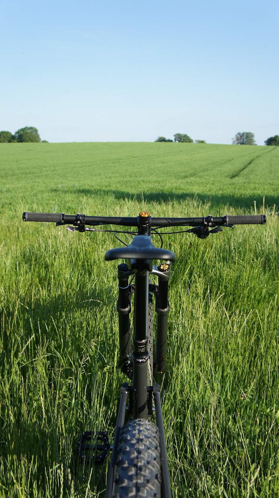 Swarf Cycles Contour - alleycatfish's Bike Check - Vital MTB
