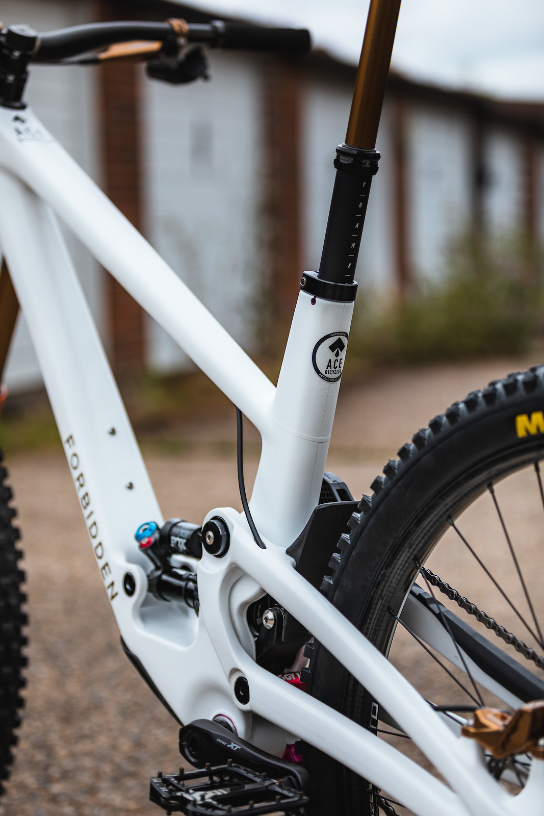 Forbidden Dreadnought - custom build - Dowks's Bike Check - Vital MTB