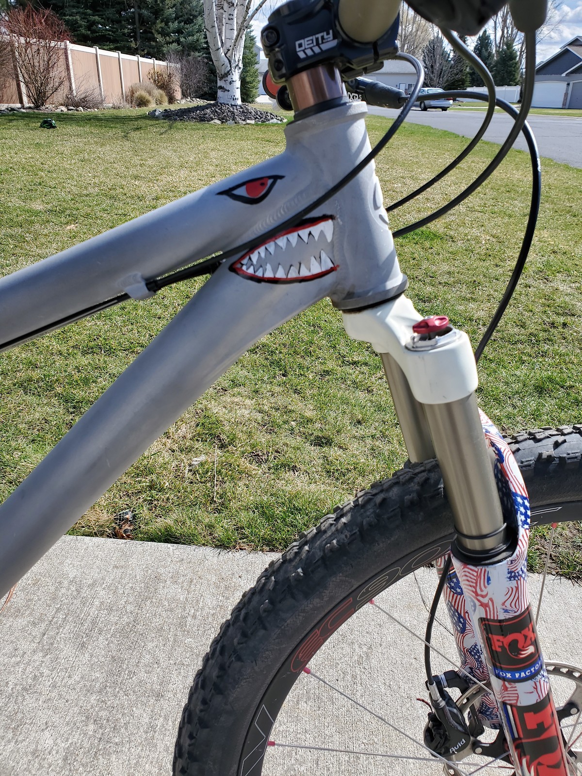 Kids Giant STP enduro hardtail - GSeethaler's Bike Check - Vital MTB