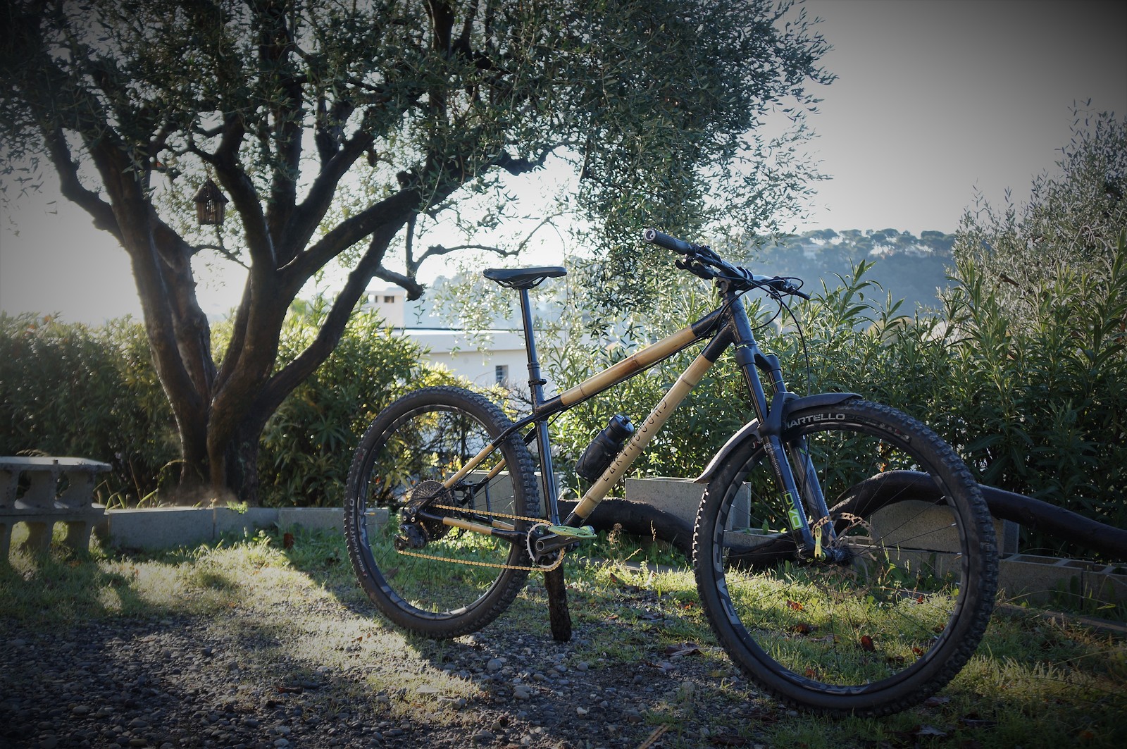 Earthbound Scarab Hardtail (Bamboo) - Weedling's Bike Check - Vital MTB