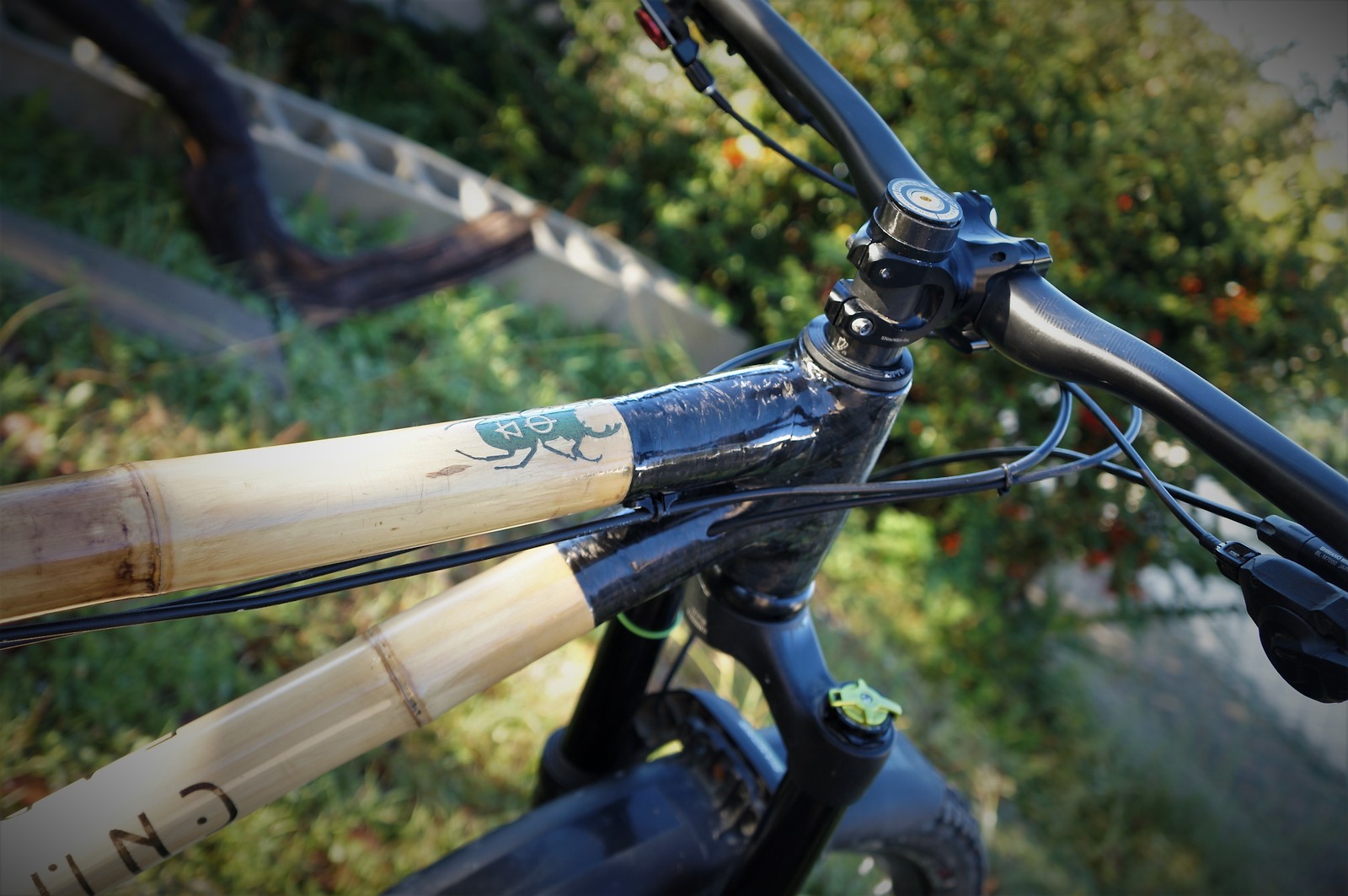 Earthbound Scarab Hardtail (Bamboo) - Weedling's Bike Check - Vital MTB
