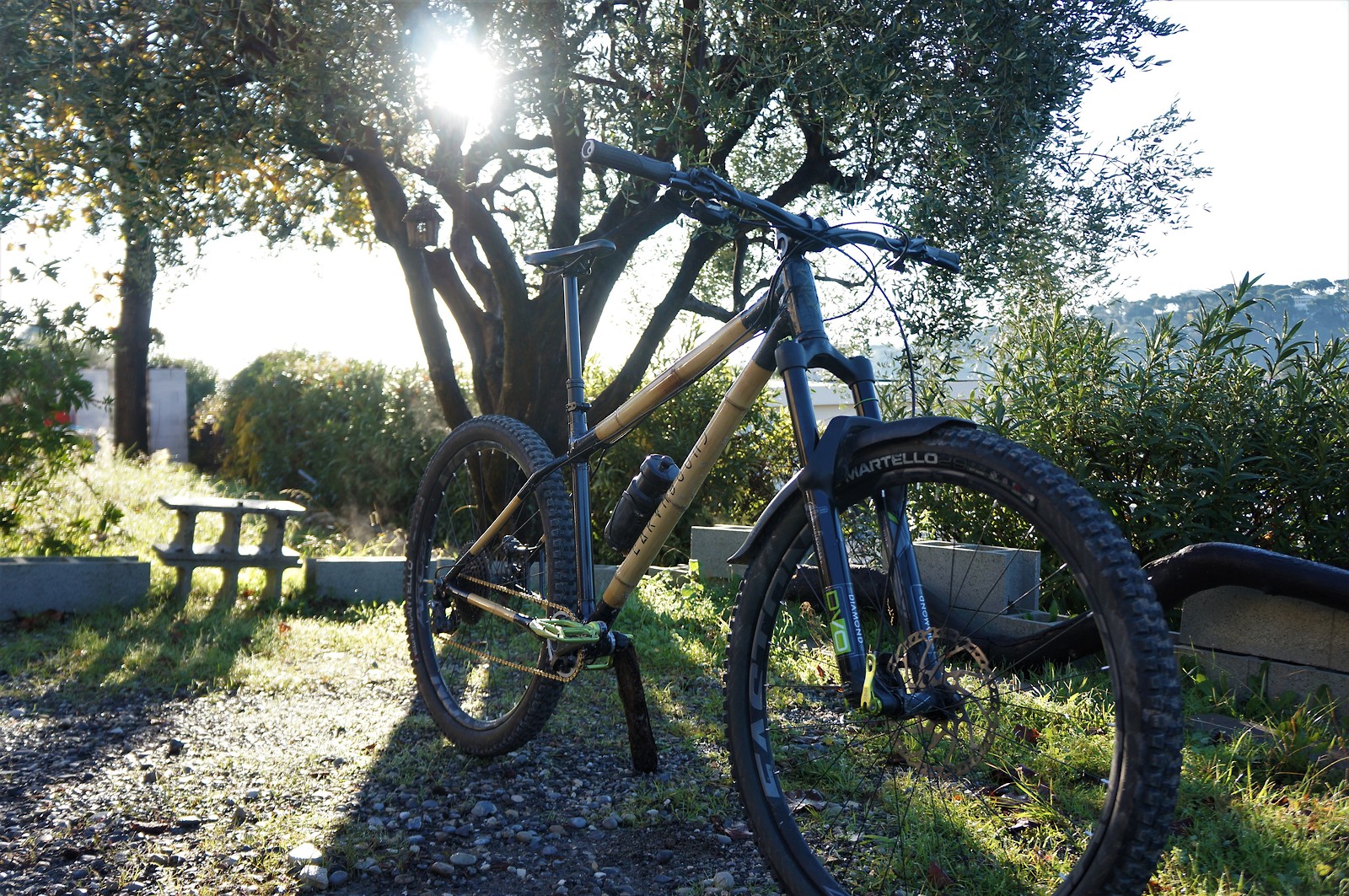 Earthbound Scarab Hardtail (Bamboo) - Weedling's Bike Check - Vital MTB