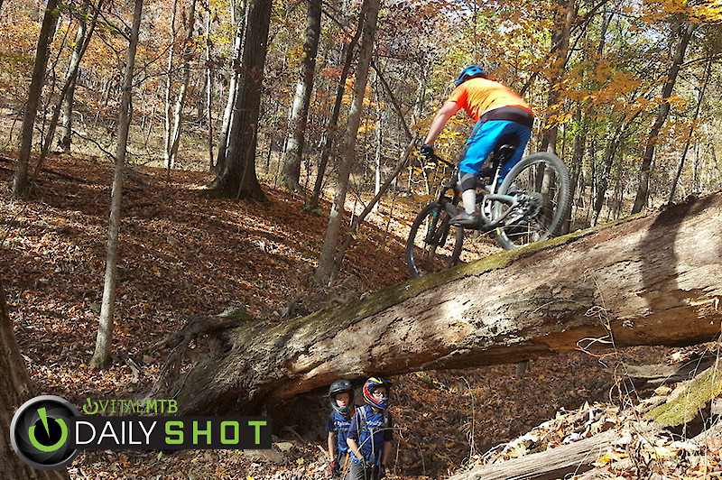 Log Rides - That-Norco-Dude - Mountain Biking Pictures - Vital MTB