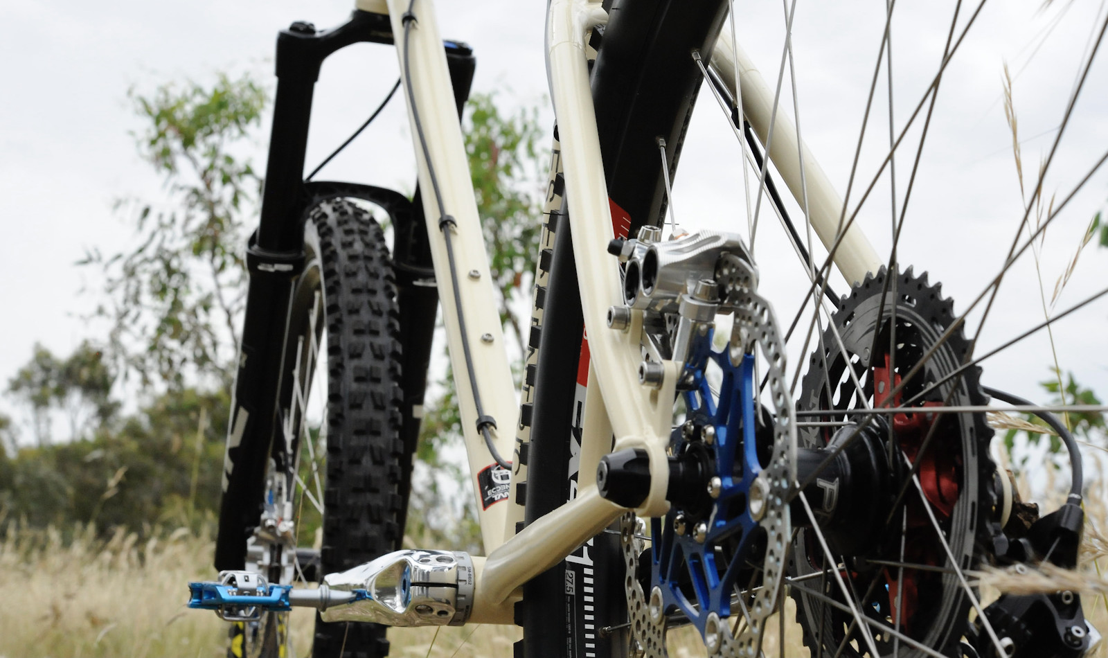 NS Eccentric Lockdown Rebuild - Nick Shooter's Bike Check - Vital MTB