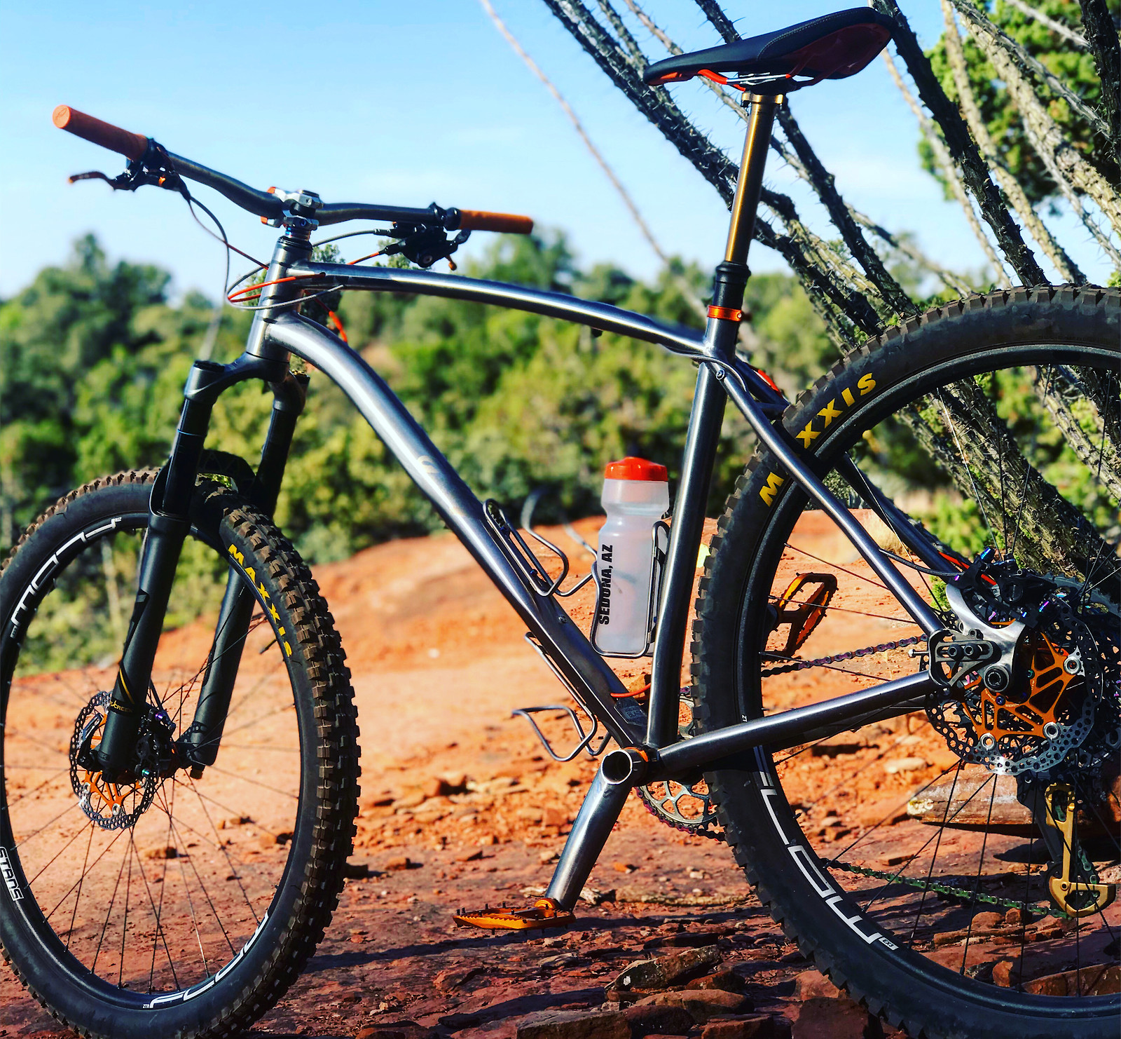 Why cycles S7 custom 29er titanium hardtail - puzzledgoose's Bike Check - Vital MTB