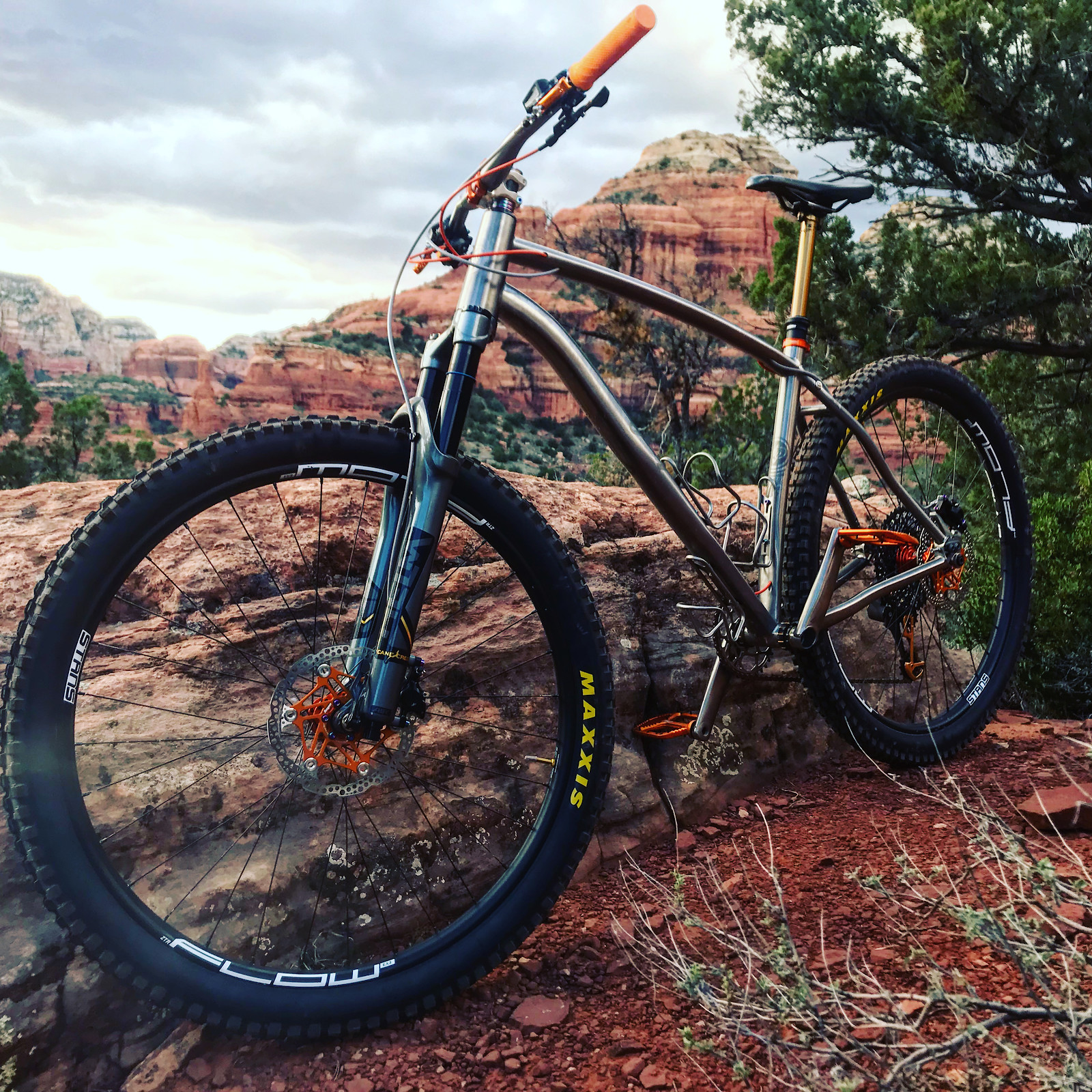 Why cycles S7 custom 29er titanium hardtail - puzzledgoose's Bike Check - Vital MTB