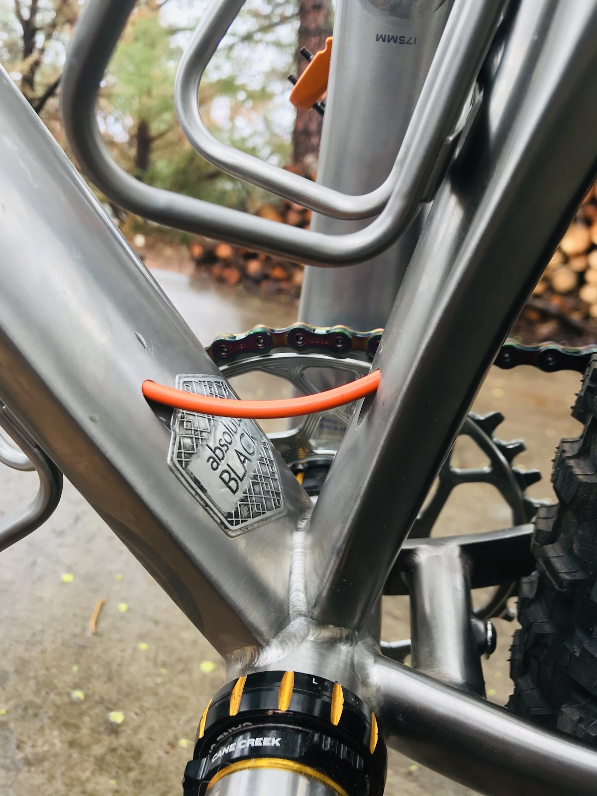 Why cycles S7 custom 29er titanium hardtail - puzzledgoose's Bike Check - Vital MTB