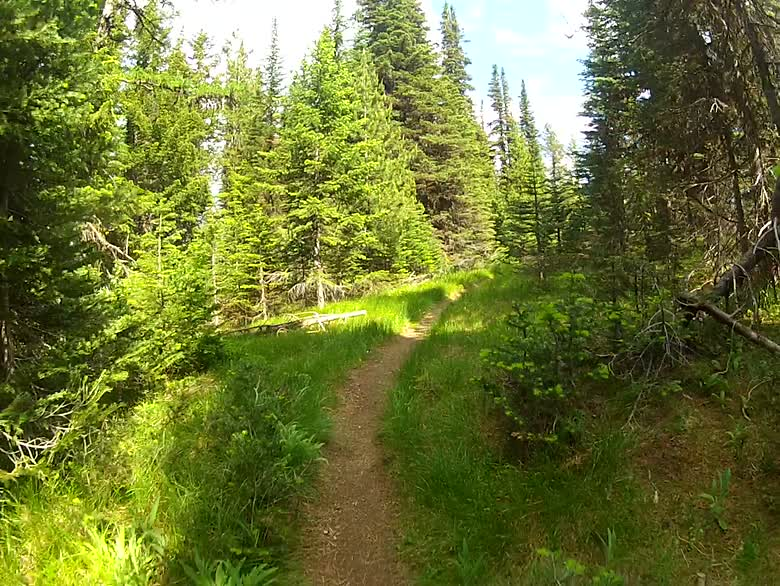 Mt Spokane trail 130 - Kr@NkMa$heR - Mountain Biking Videos - Vital MTB