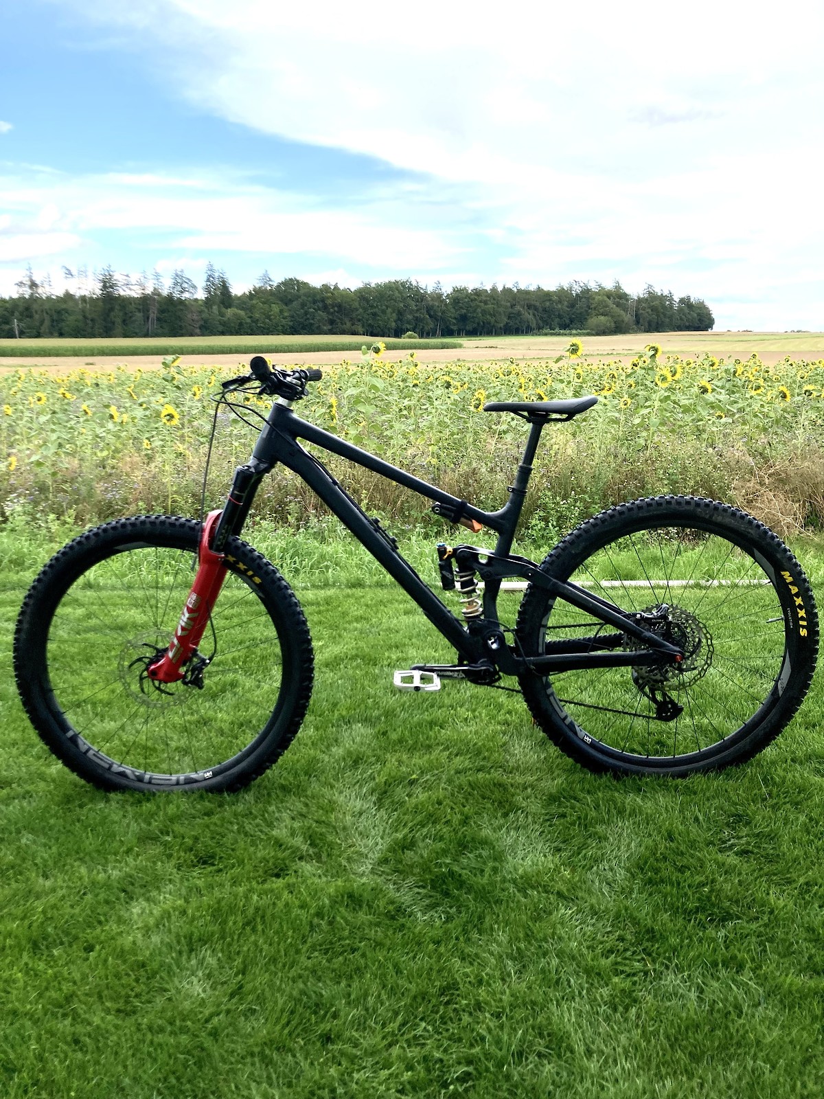 Raaw JIBB - Lehrider's Bike Check - Vital MTB