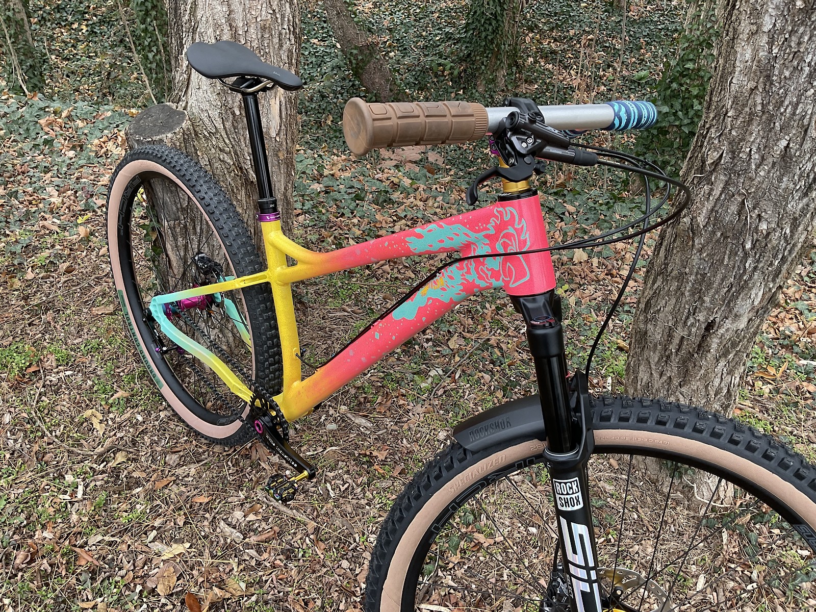 Banshee Paradox Dirt Rooster Special - DirtRoosterBicycles's Bike Check ...